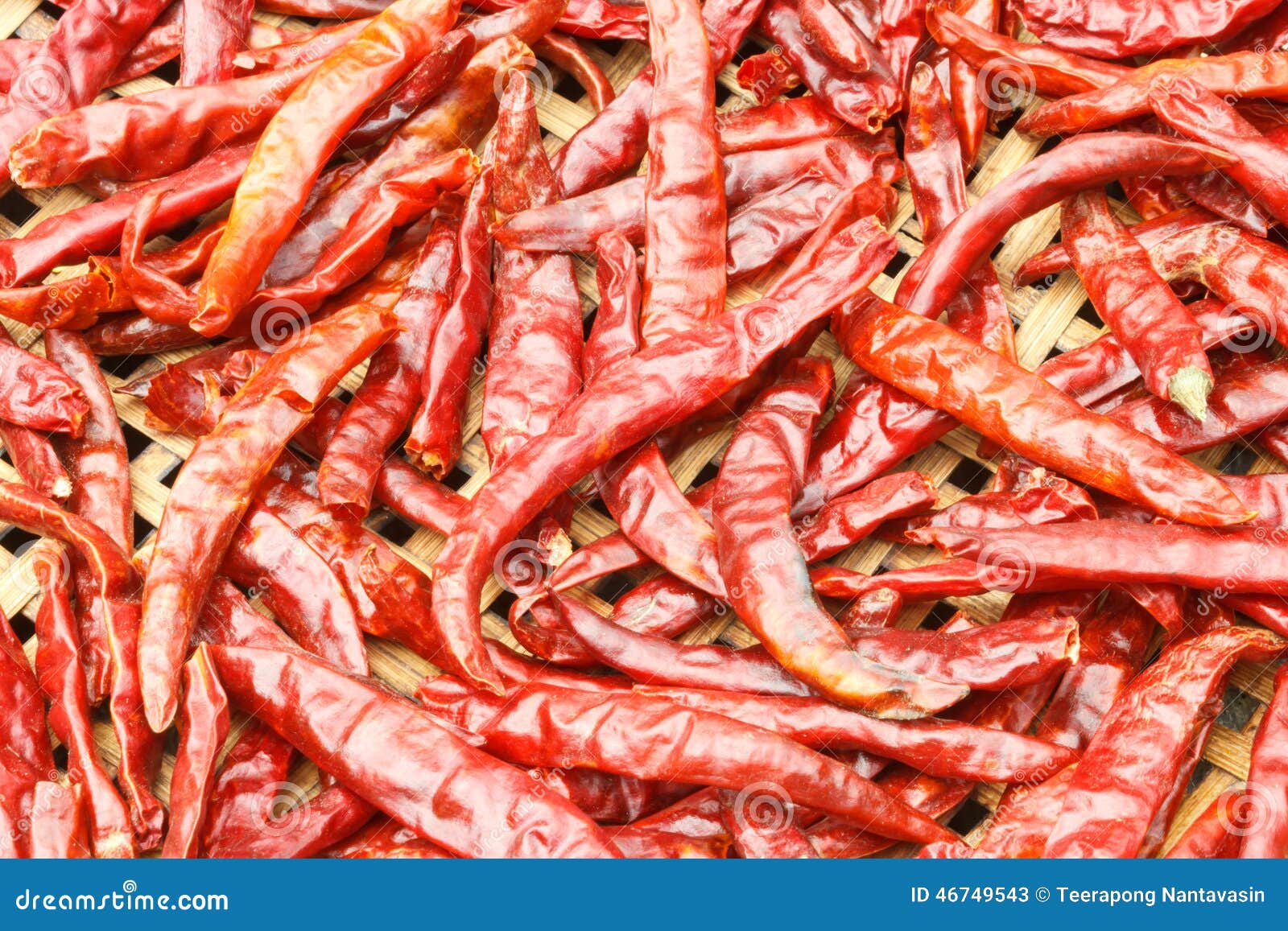 Dried chilies. stock image. Image of seasoning, cooking - 46749543
