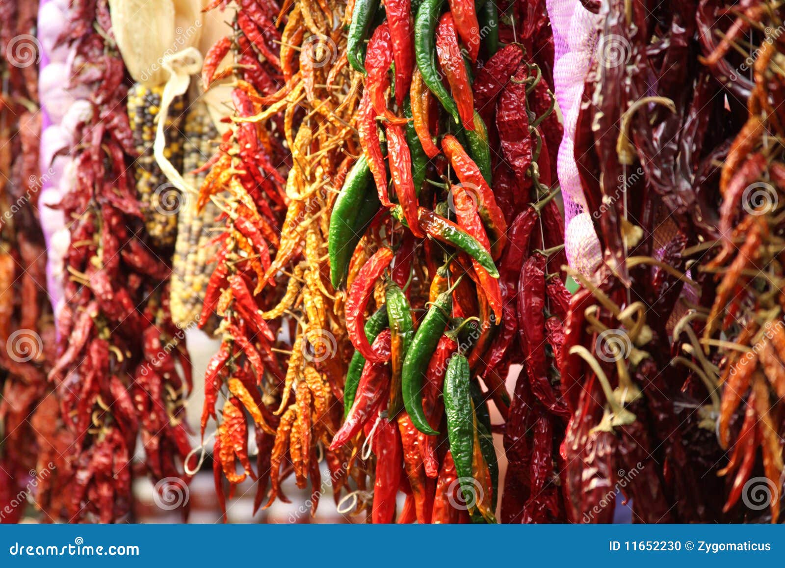 Dried Chilis on Food Market Stock Photo - Image of cooking, agriculture ...