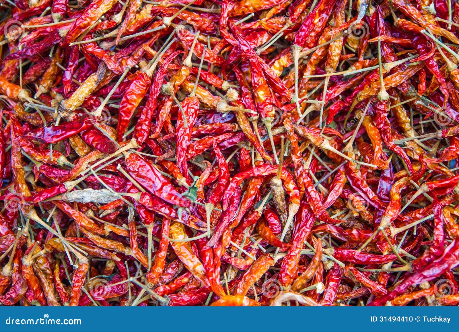 Dried chilli. stock photo. Image of chili, health, cayenne - 31494410
