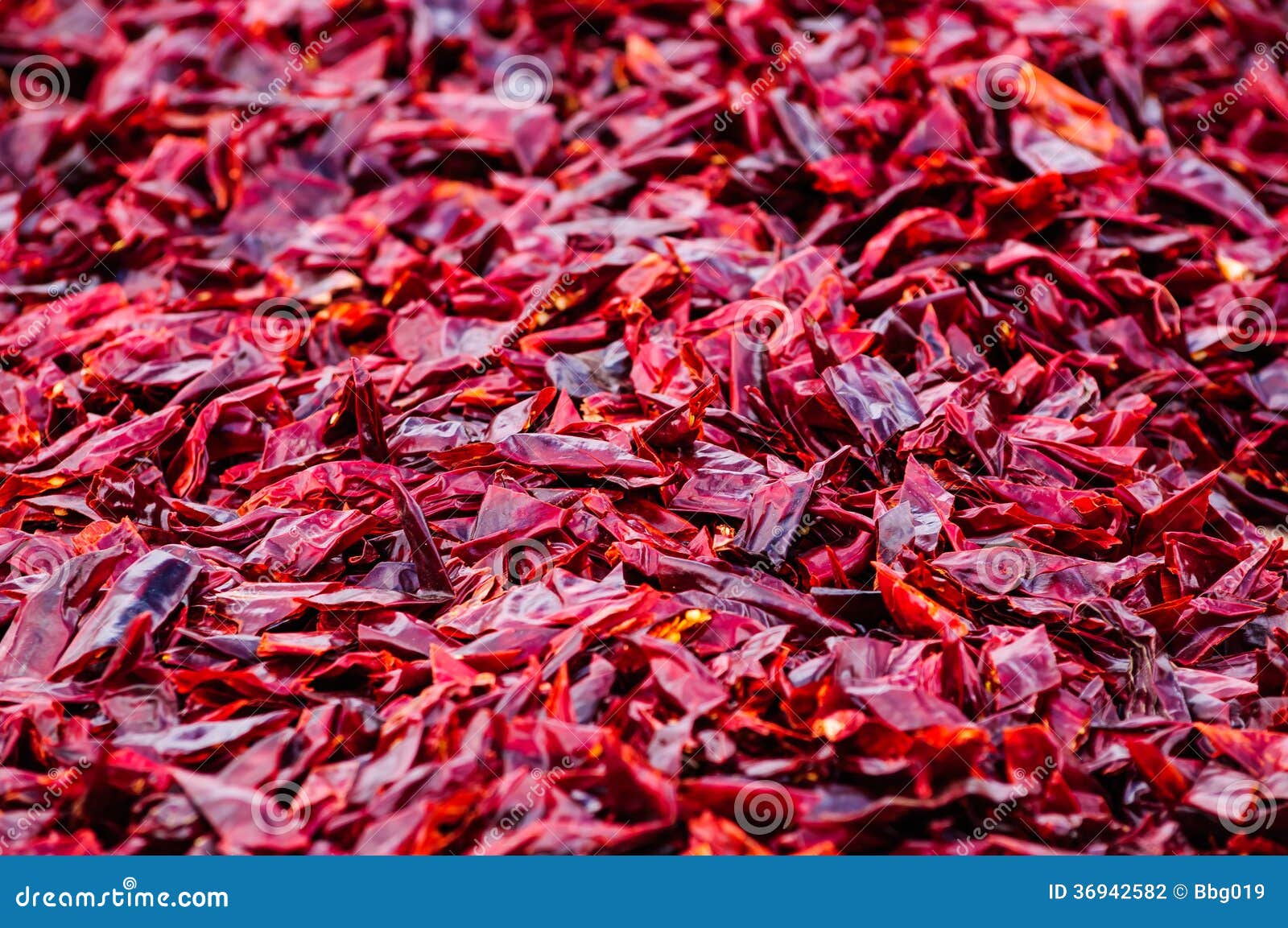 Dried chilli for cooking stock photo. Image of chili - 36942582