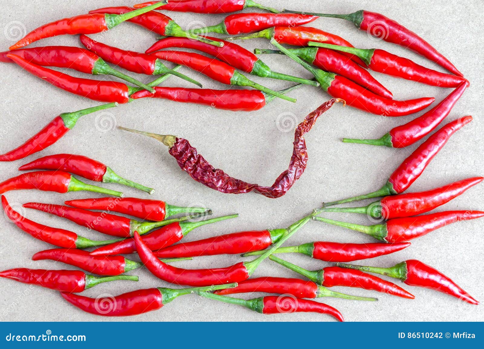 Dried Chilli and Fresh Chilli. Stock Photo - Image of influence ...