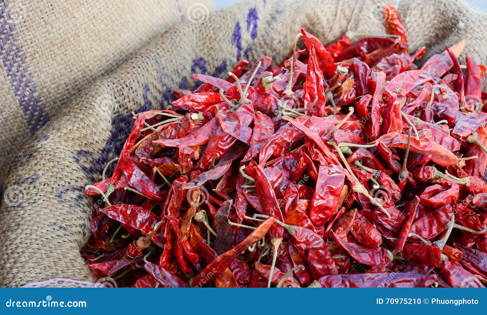 Dried Chilli for Sale in Leh, India Stock Photo - Image of pink, bokeh ...