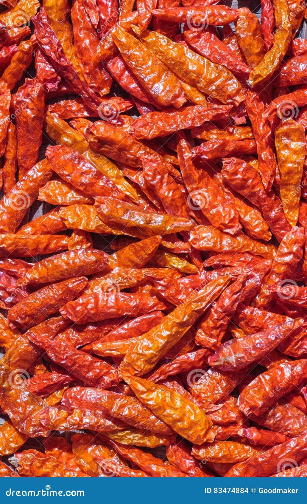 Dried chilli top view stock photo. Image of chilli, detail - 83474884