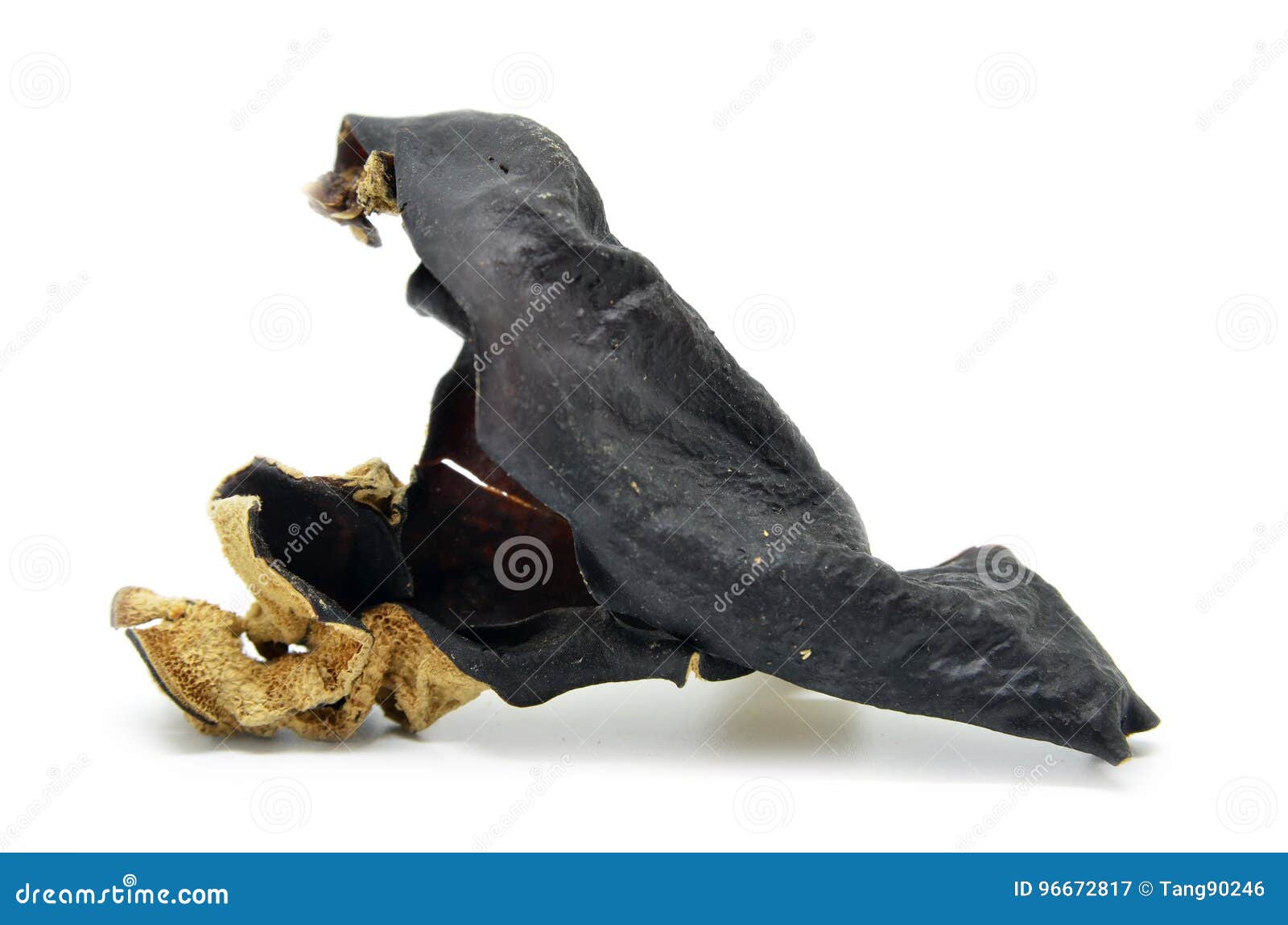 Dried Chinese Delicacy Black Muer Fungus Stock Image - Image of ... Dried Chinese Delicacy Black Muer Fungus Stock Image - Image of ...