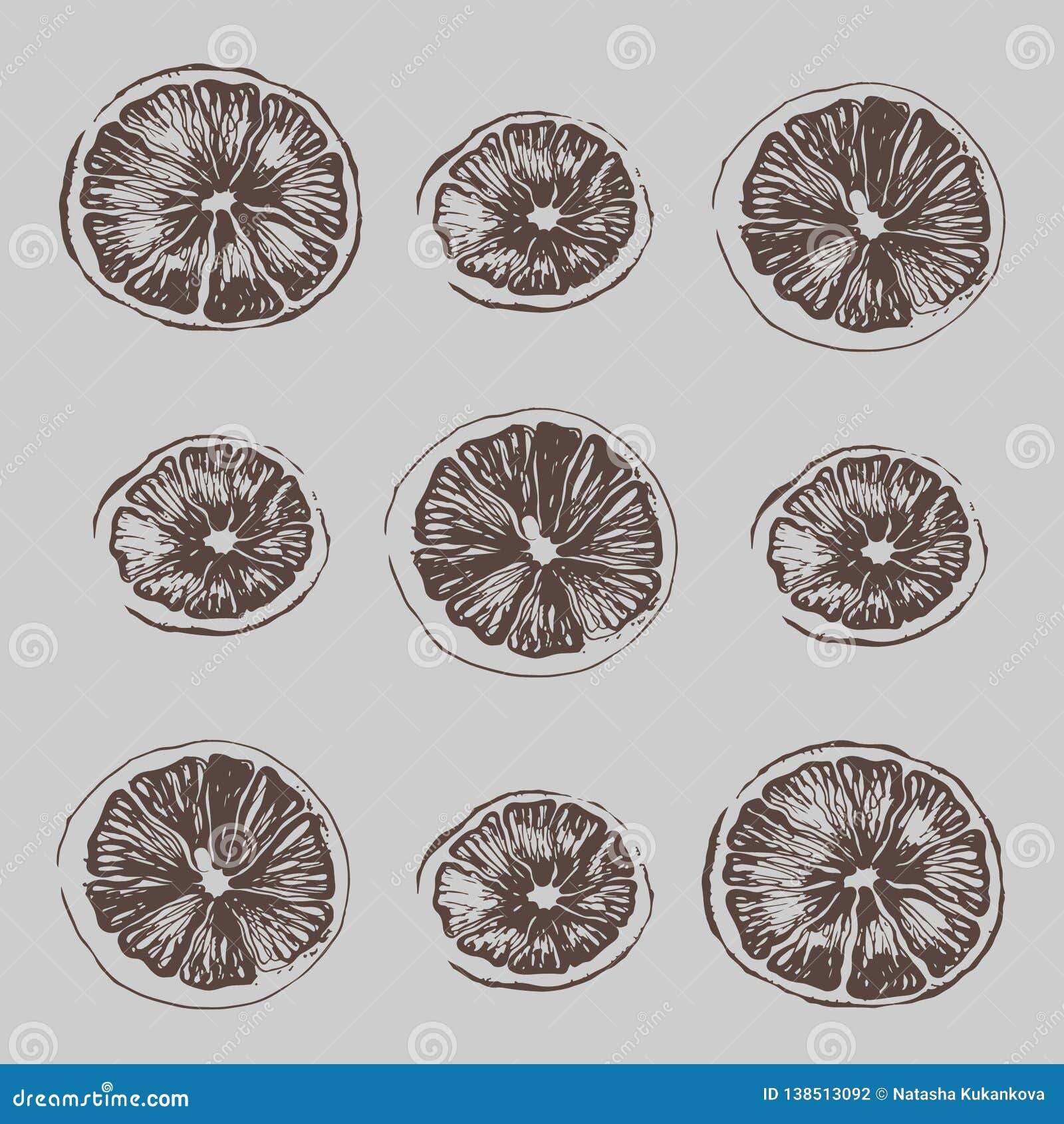 Dried citrus fruits stock illustration. Illustration of citrus - 138513092