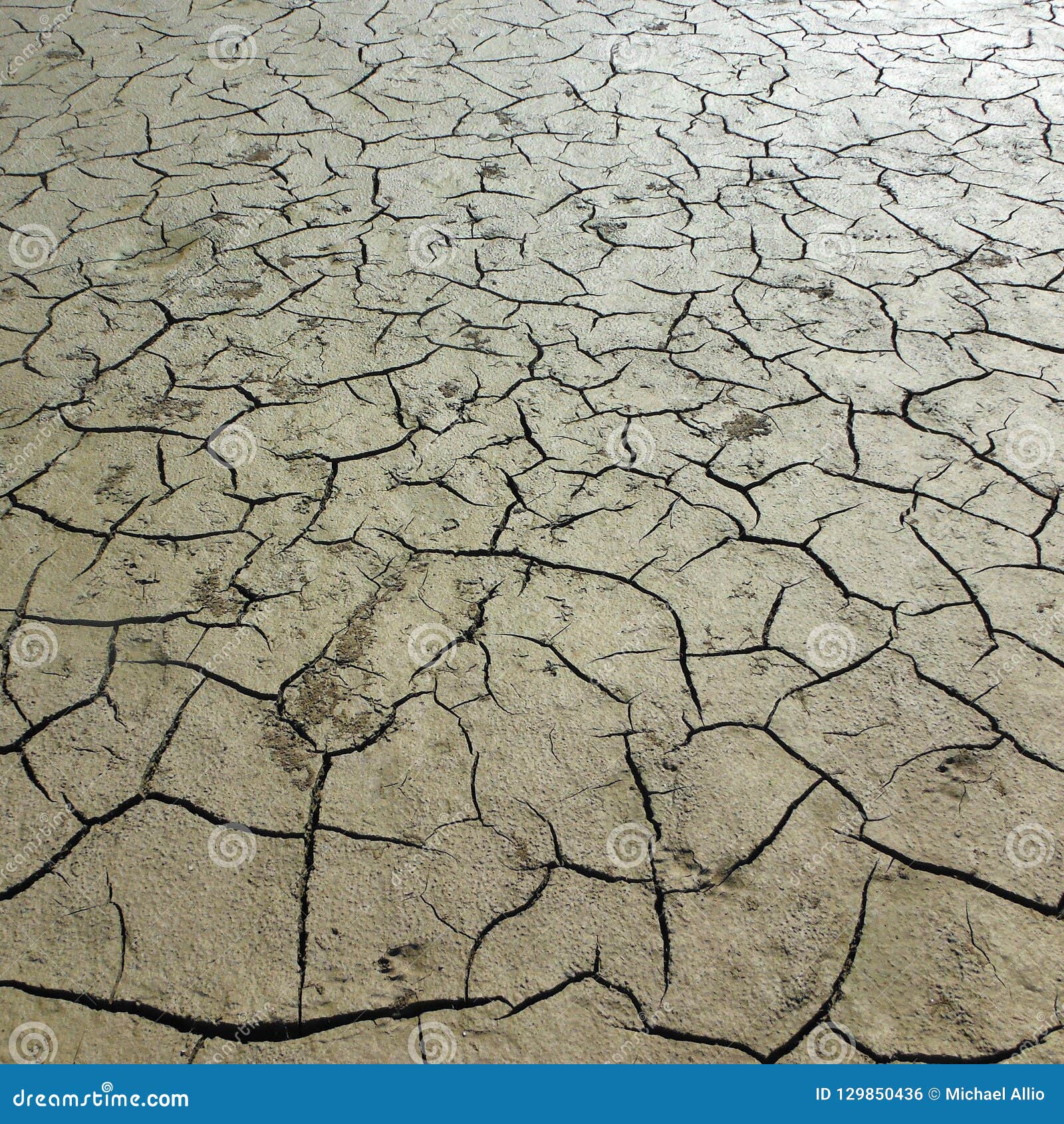 Cracking Ground Texture Stock Photography | CartoonDealer.com #64441520