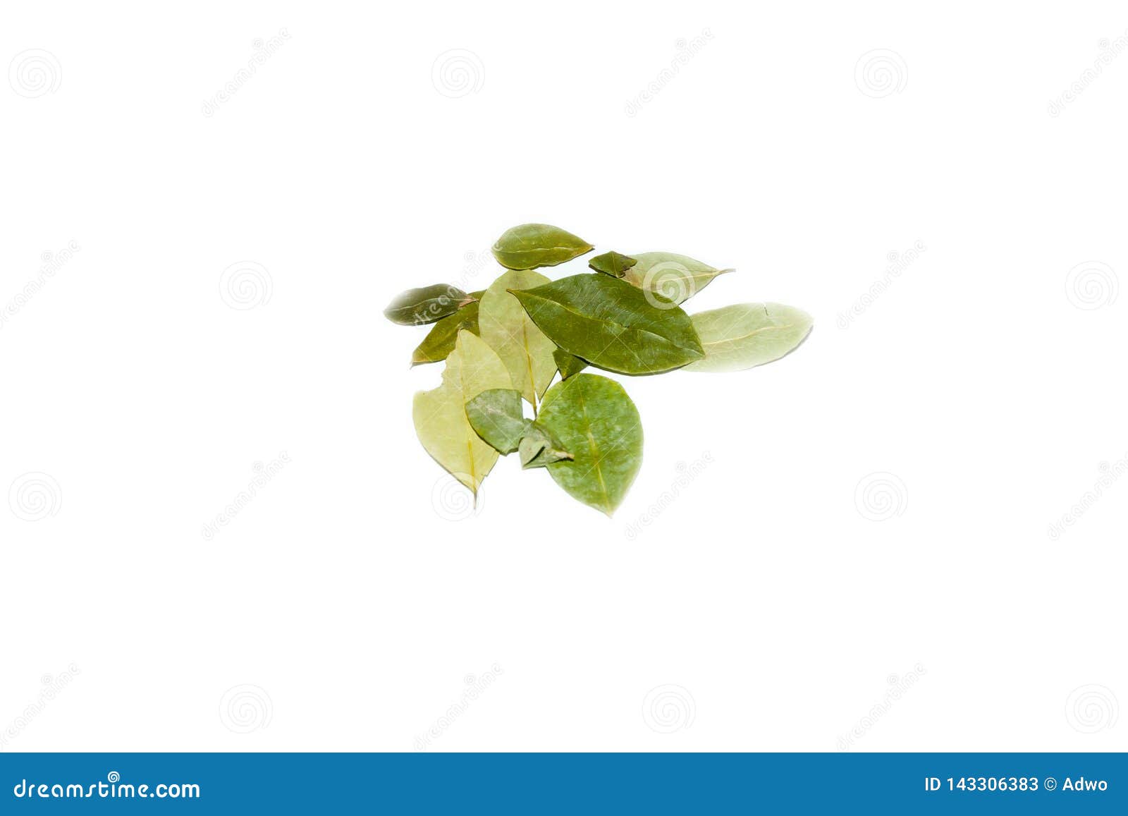 Dried Coca Leaves stock image. Image of native, popular - 143306383