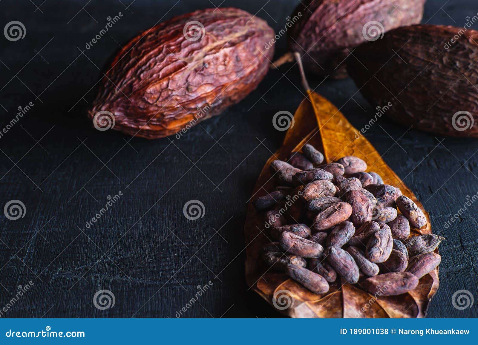 Dried Cocoa Beans and Dried Cocoa Stock Photo - Image of exotic, cocoa ...