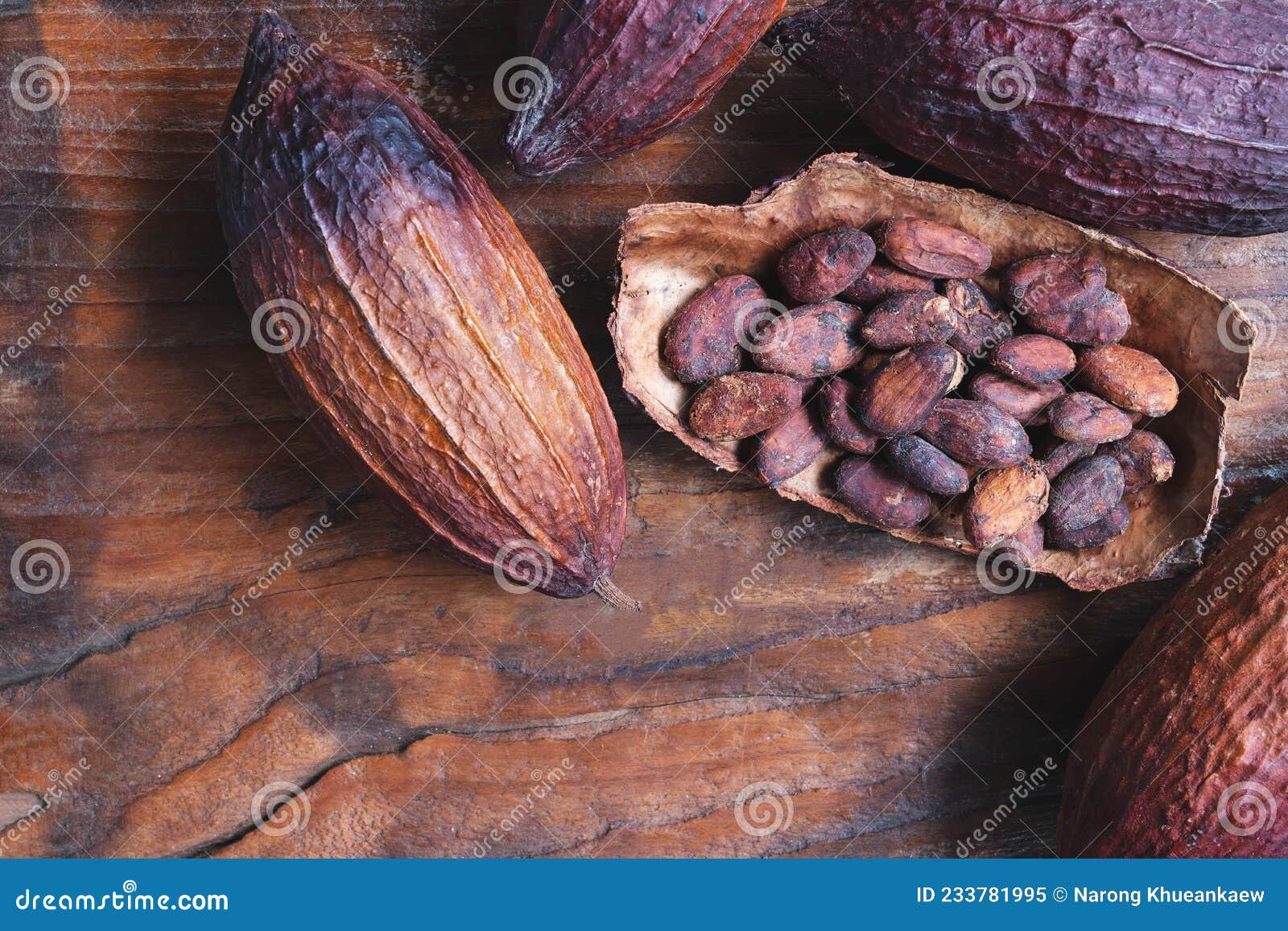 Dried Cocoa Beans and Dried Cocoa Beans Stock Image - Image of ...