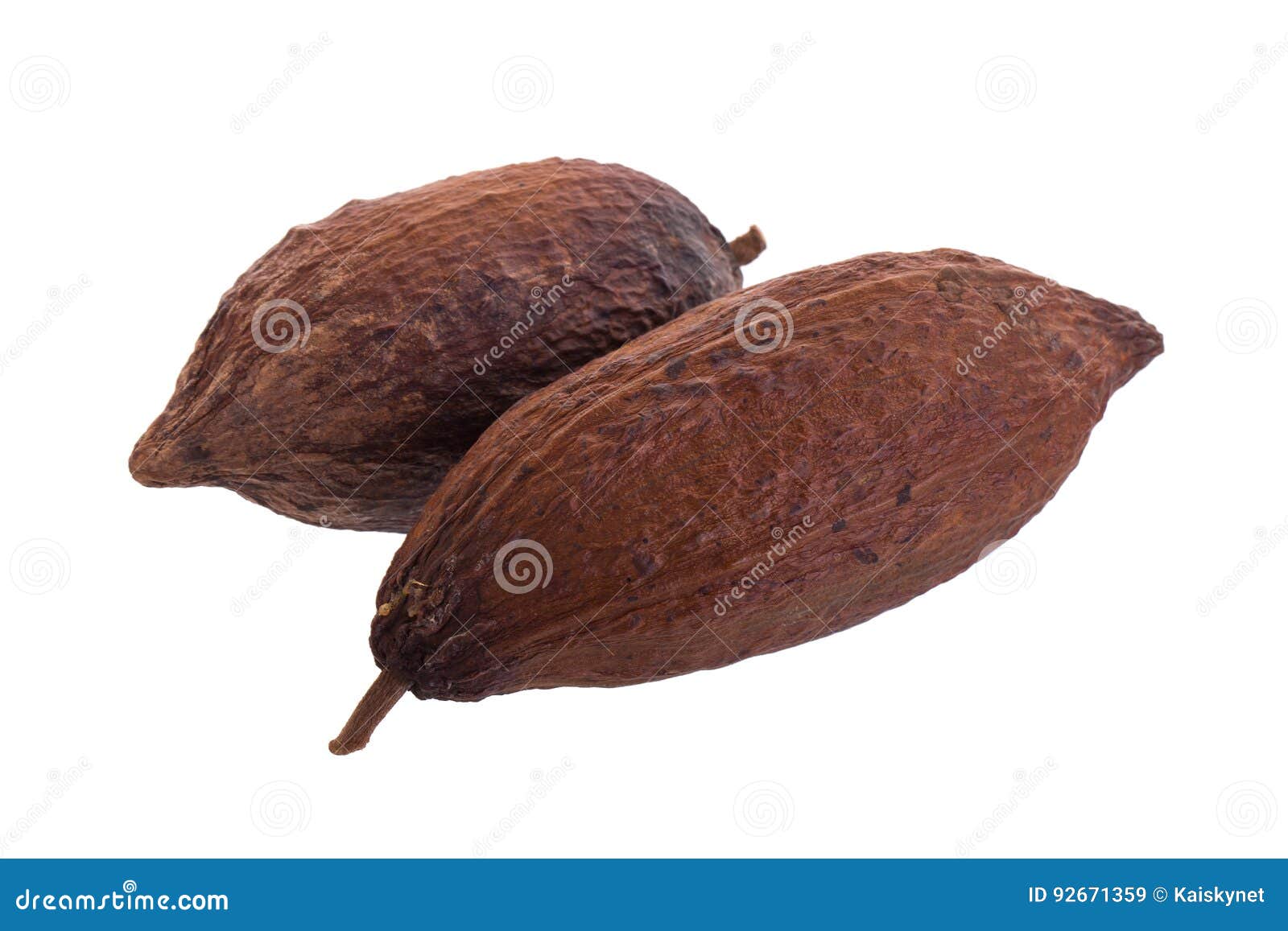 Dried Cocoa Pod on a White Background Stock Image - Image of food ...