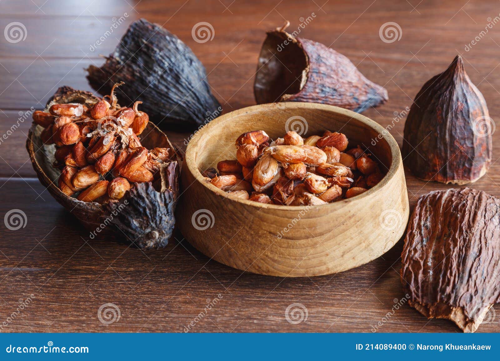 Dried Cocoa Pods and Dried Cocoa Beans Stock Photo - Image of fruit ...