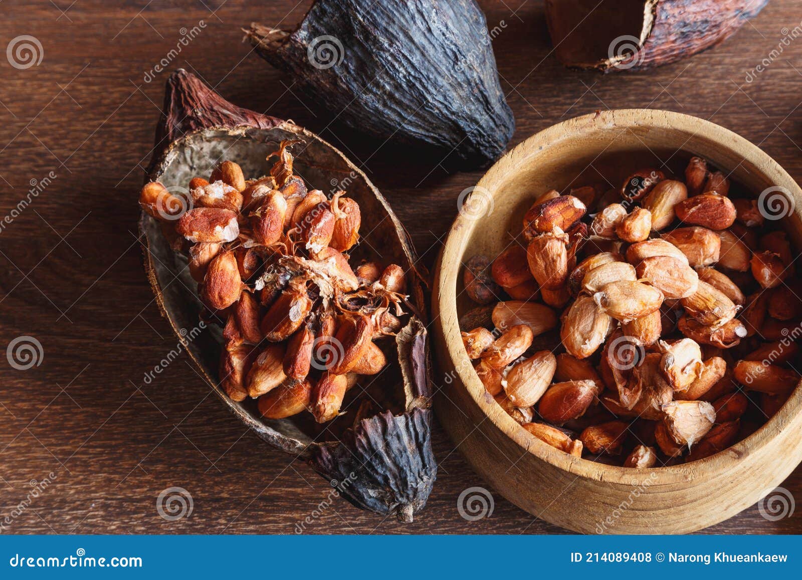 Dried Cocoa Pods and Dried Cocoa Beans Stock Photo - Image of cacao ...