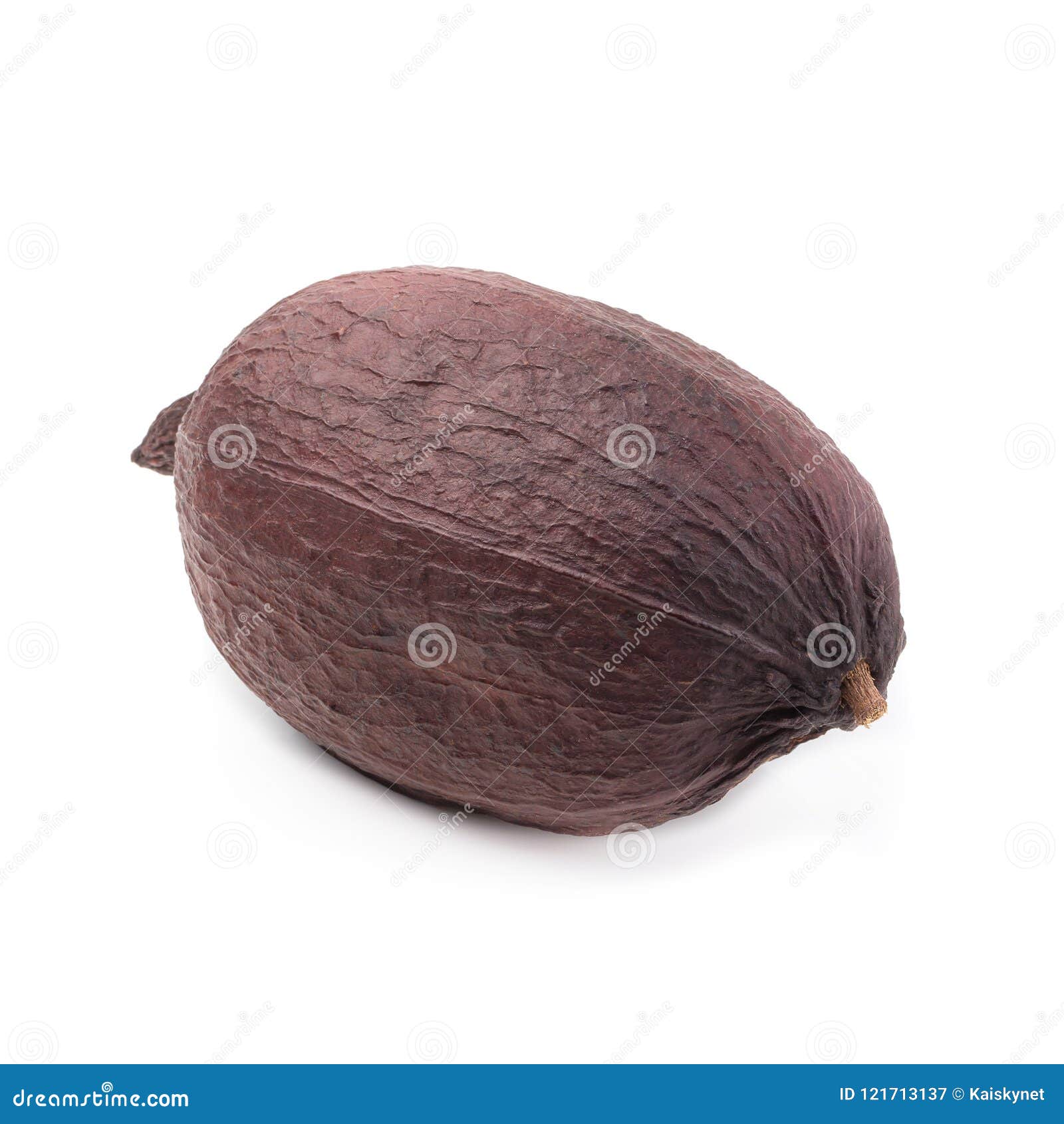 Dried Cocoa Pods Isolated on White Background Stock Image - Image of ...