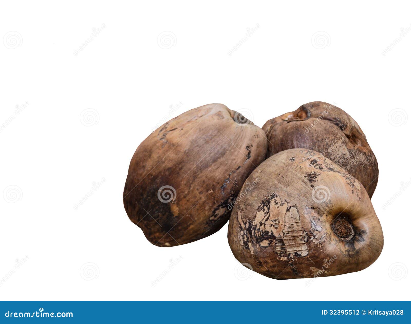 Dried Coconut Isolated on White Stock Photo - Image of food, brown ...