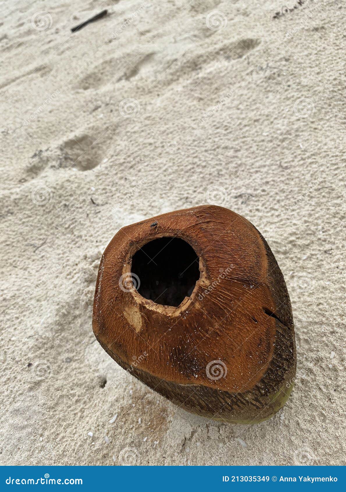 Hole Of Dried Lotus Seed For Medical Image Test Trypophobia Phobia ...