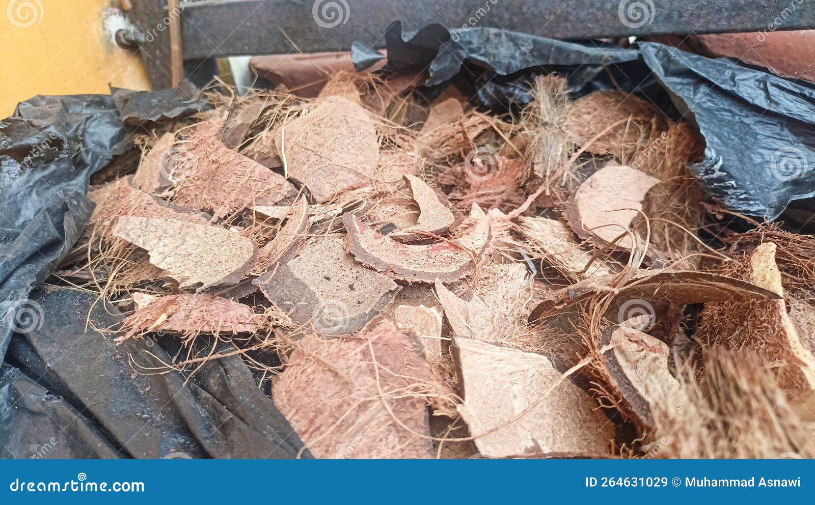 Charcoal dry coconut shell stock image. Image of juice - 264631029