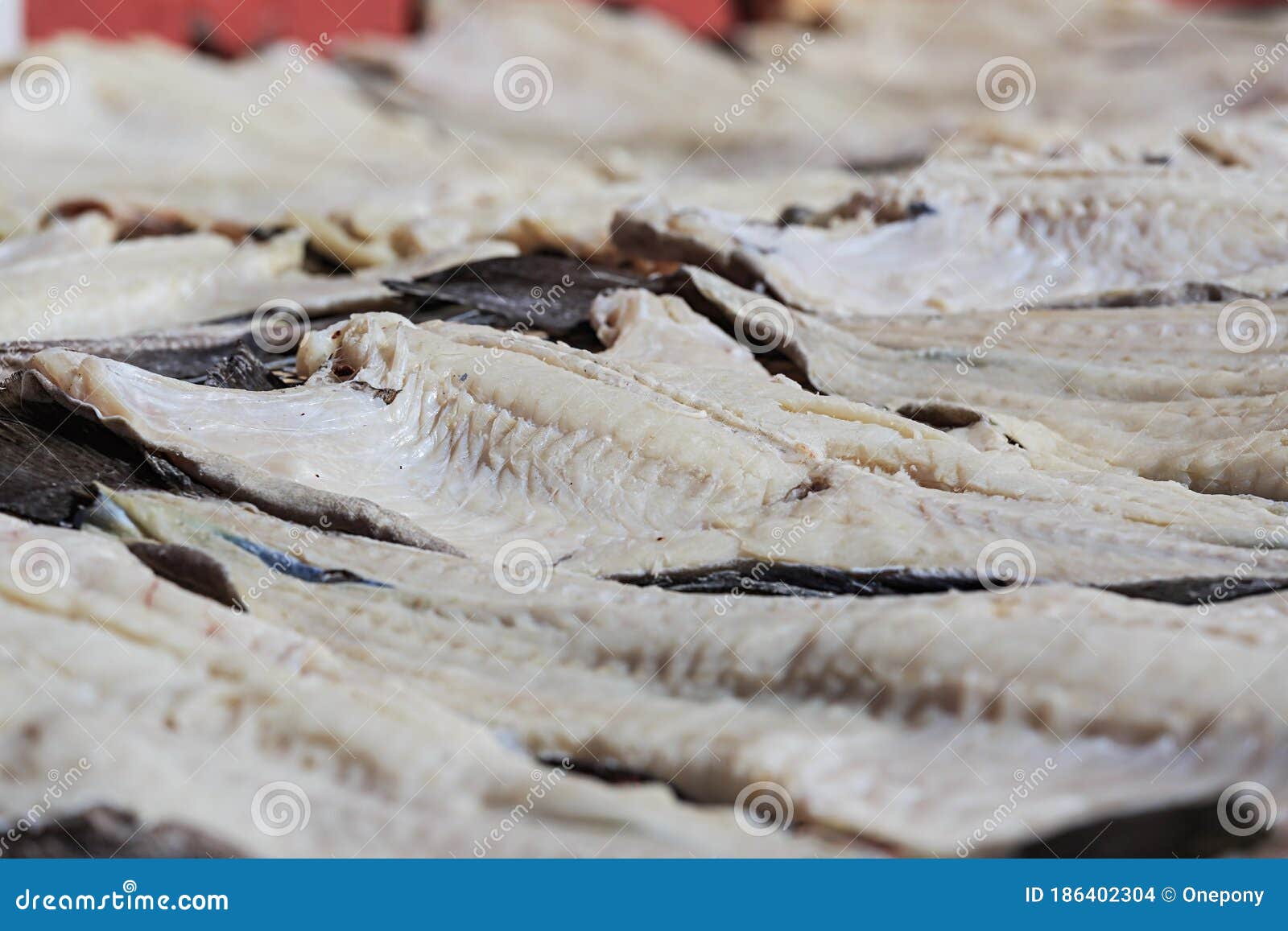 Newfoundland Dried Cod stock photo. Image of fishing - 186402304
