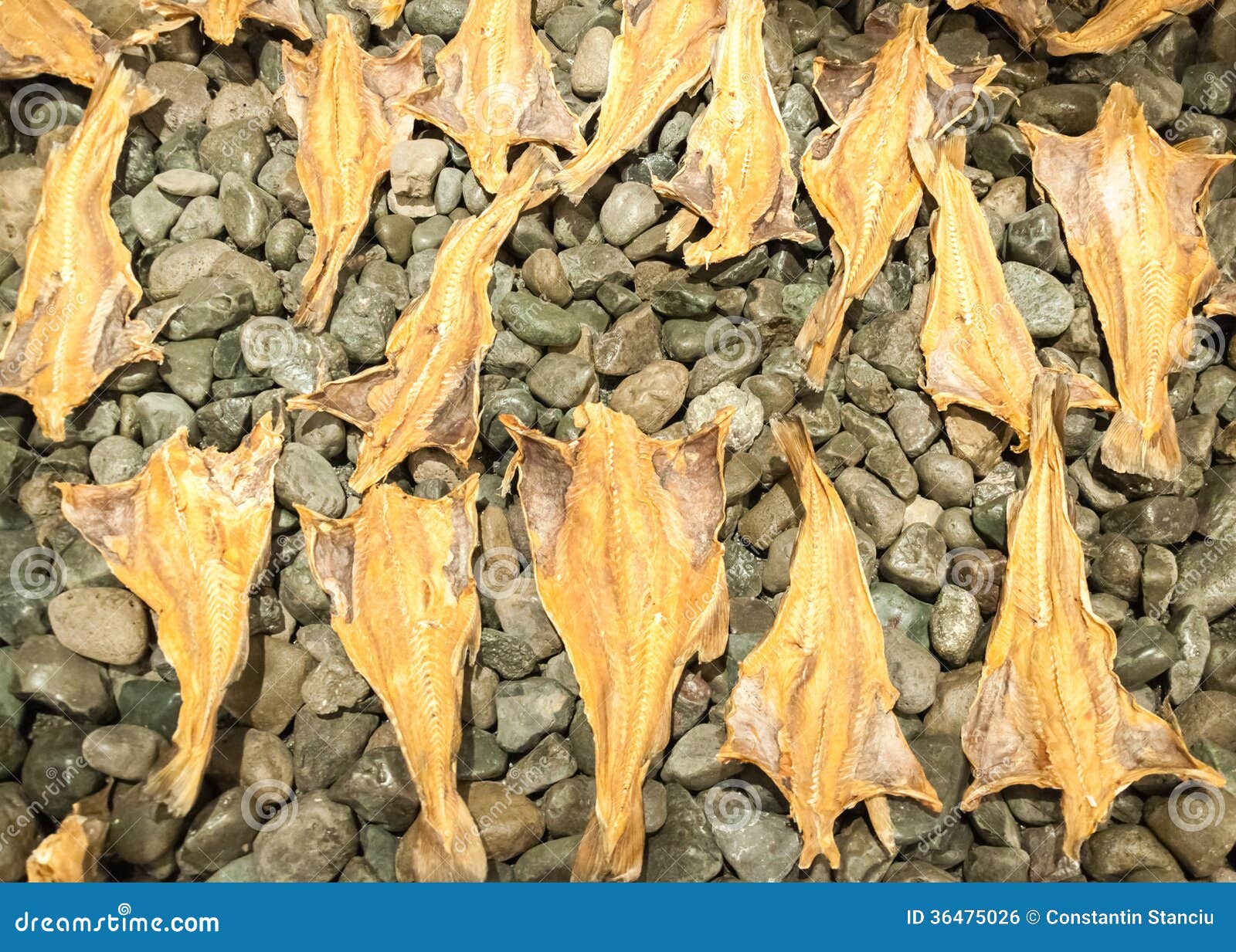 Dried Cod fish in Iceland stock photo. Image of diet - 36475026