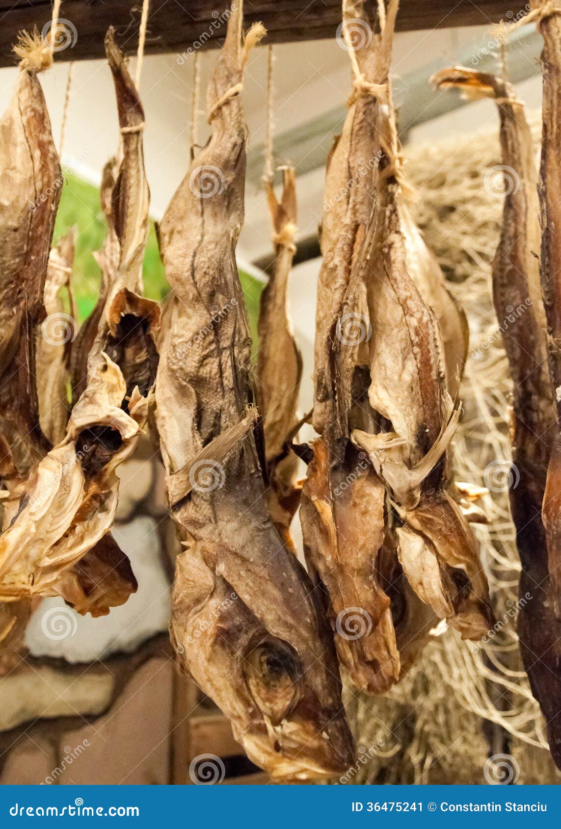 Dried Cod fish in Iceland stock image. Image of nutriment - 36475241