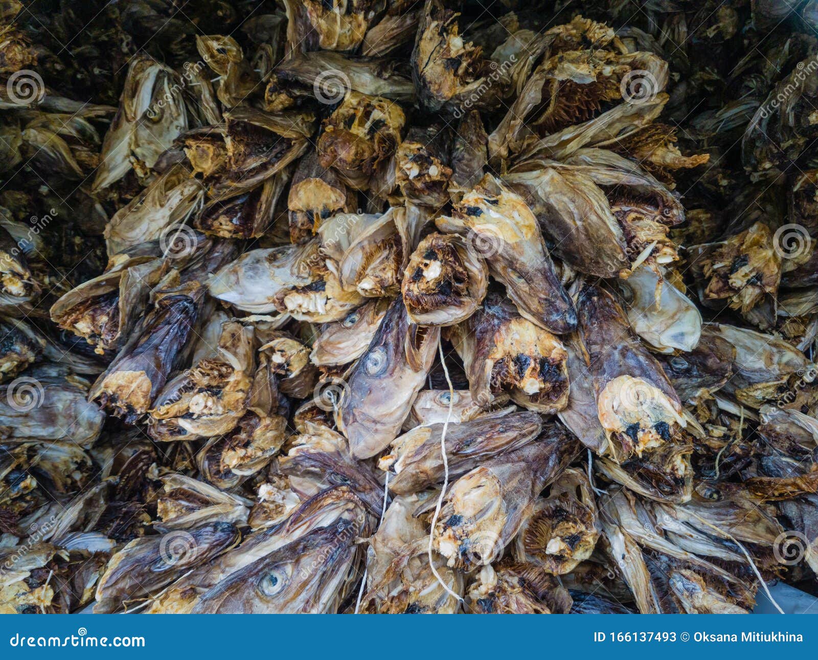 Dried cod heads stock image. Image of stockfish, traditionally - 166137493