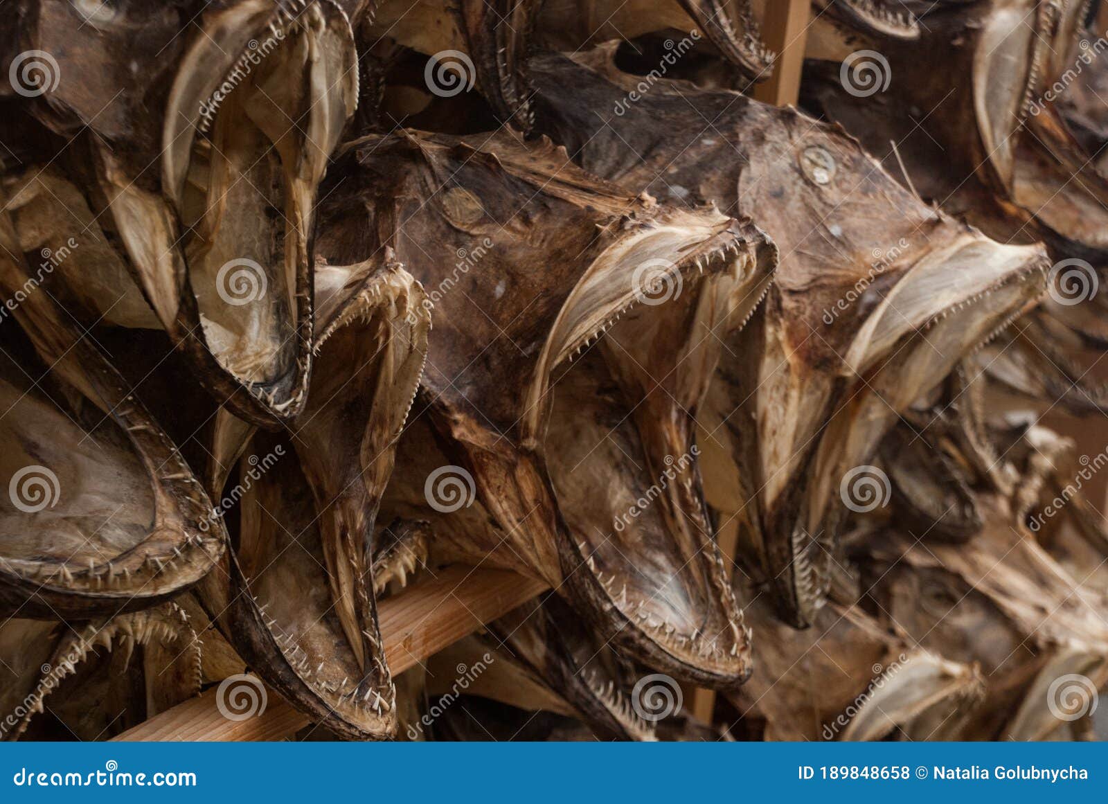 Dried Cod Heads Piled in Bale Stock Photo - Image of fishing, head ...