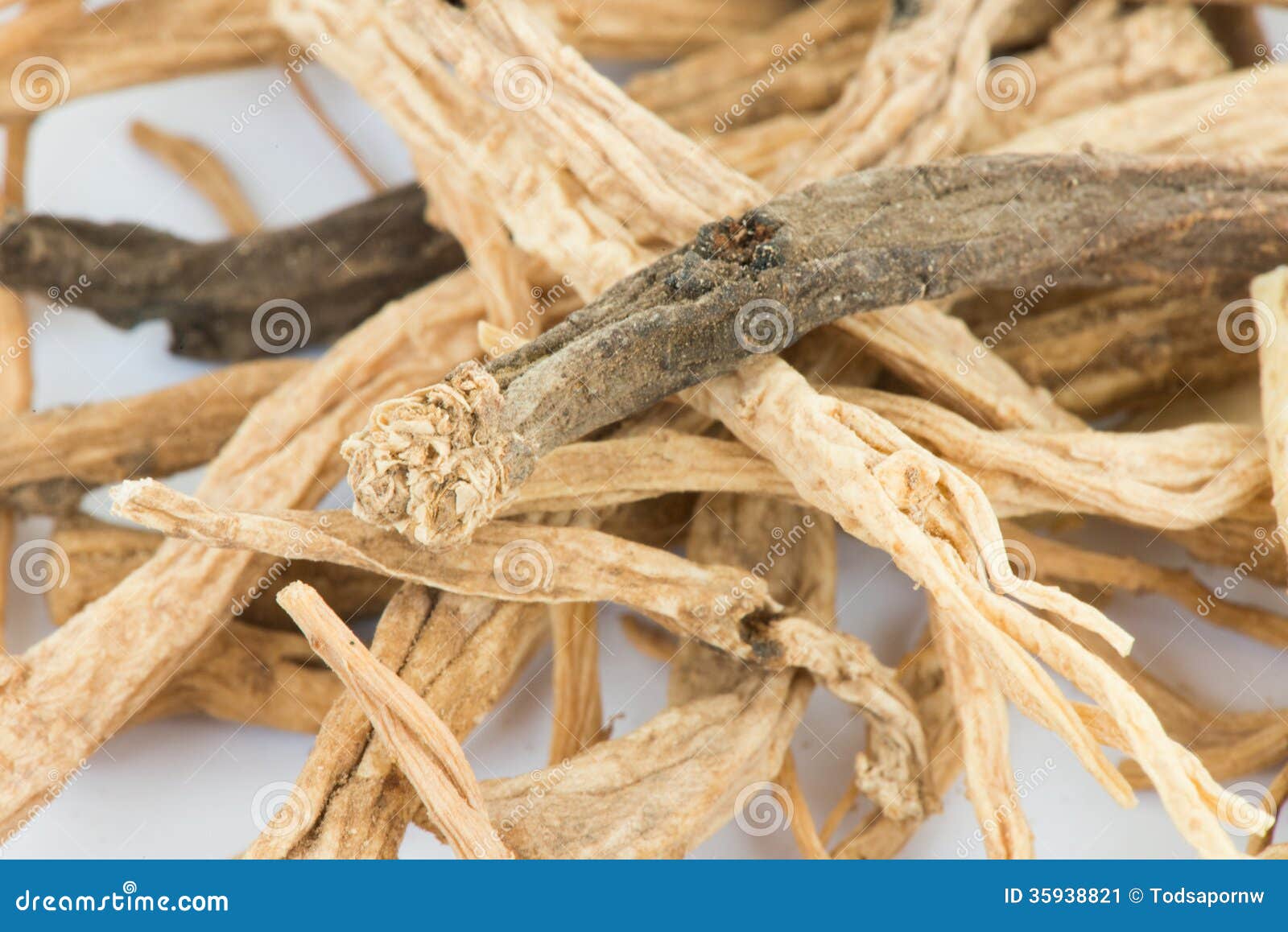 Dried Codonopsis Root Chinese Herbal Medicine Stock Image - Image of ...
