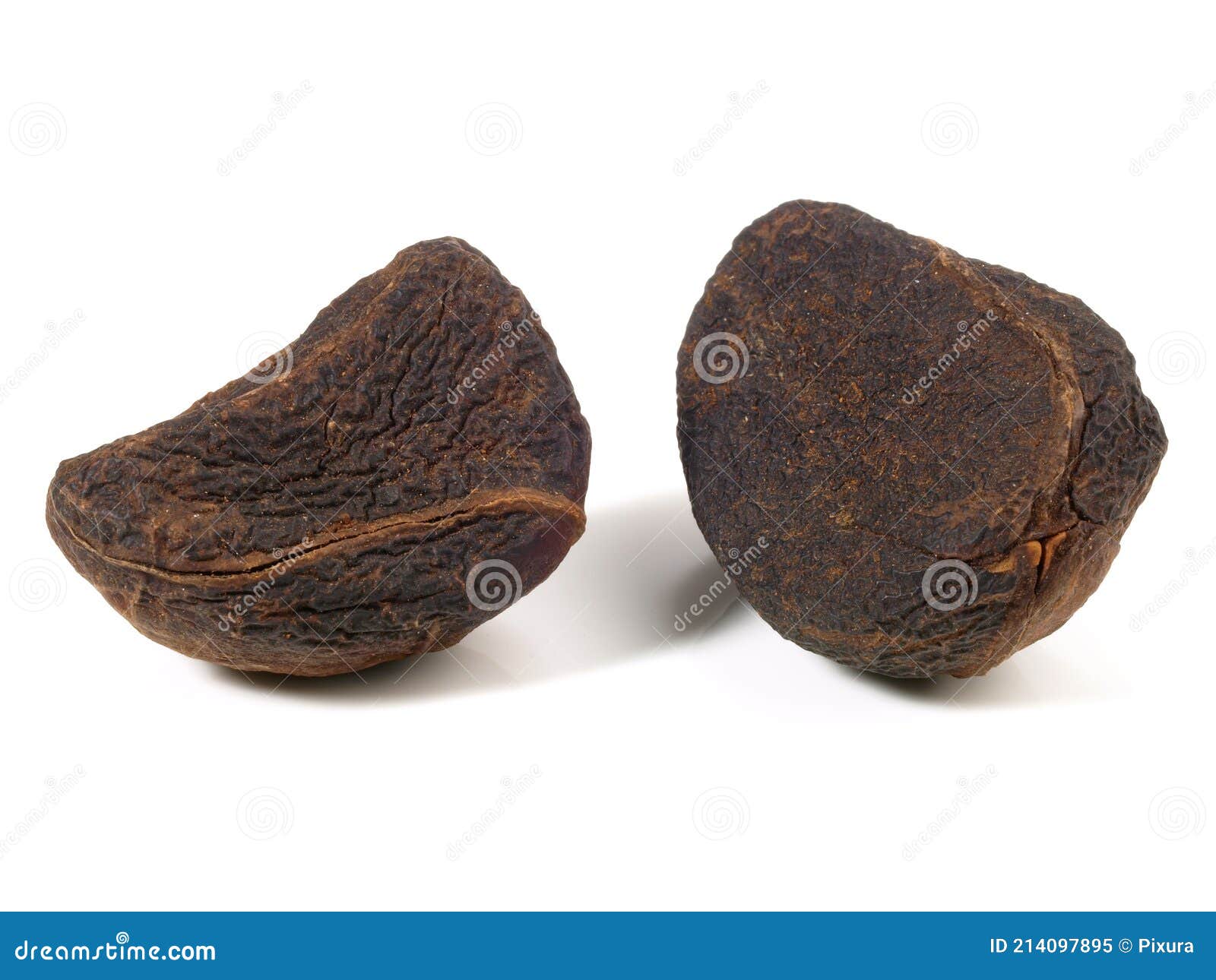 Dried Cola Nut on White Background - Isolated Stock Image - Image of ...
