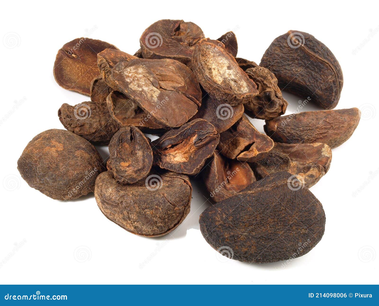 Dried Cola Nut on White Background - Isolated Stock Photo - Image of ...