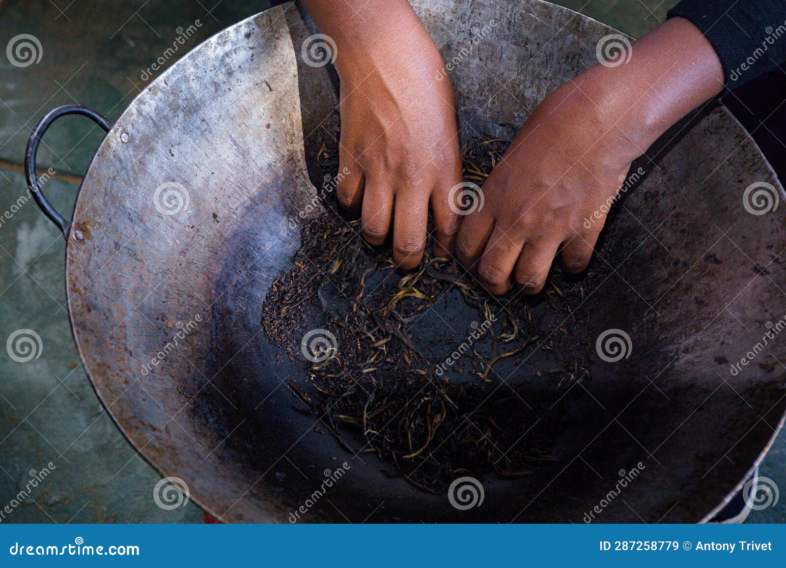 Dried Cooked Tea Leaves in a Pan Sort Stock Image - Image of carving ...