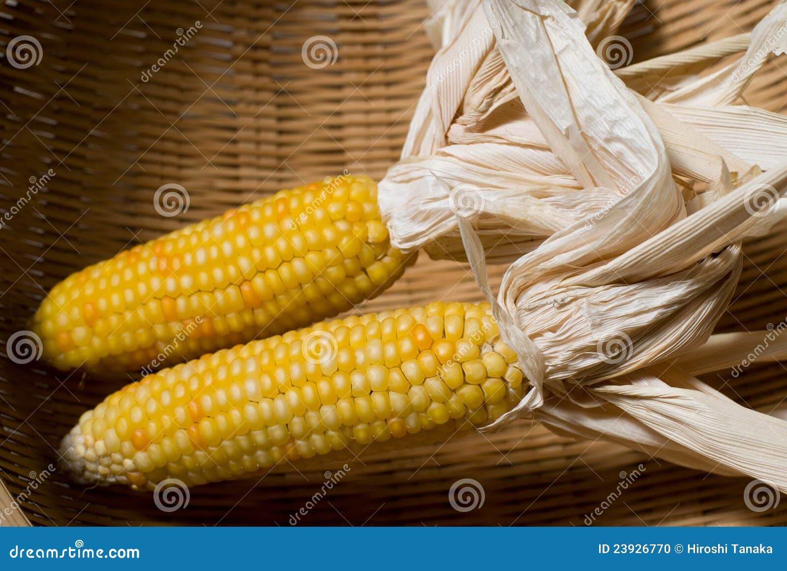 Dried corn stock photo. Image of corn, grain, ingredient - 23926770
