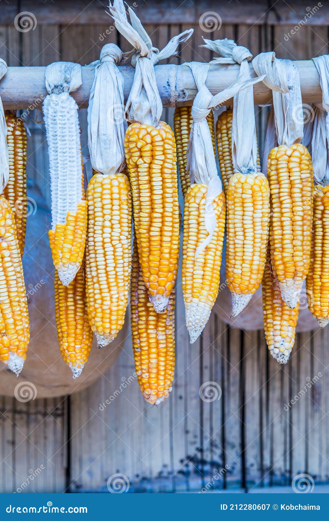 Dried corn on bamboo wall stock image. Image of yellow - 212280607