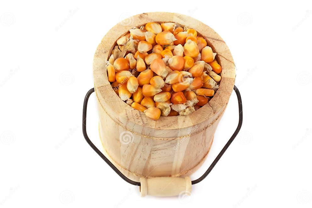 Dried corn in Bucket stock photo. Image of wood, vegetable - 132123660