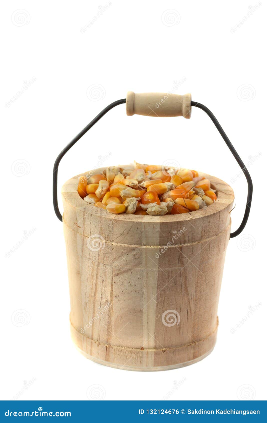 Dried corn in Bucket stock photo. Image of corn, vegetable - 132124676