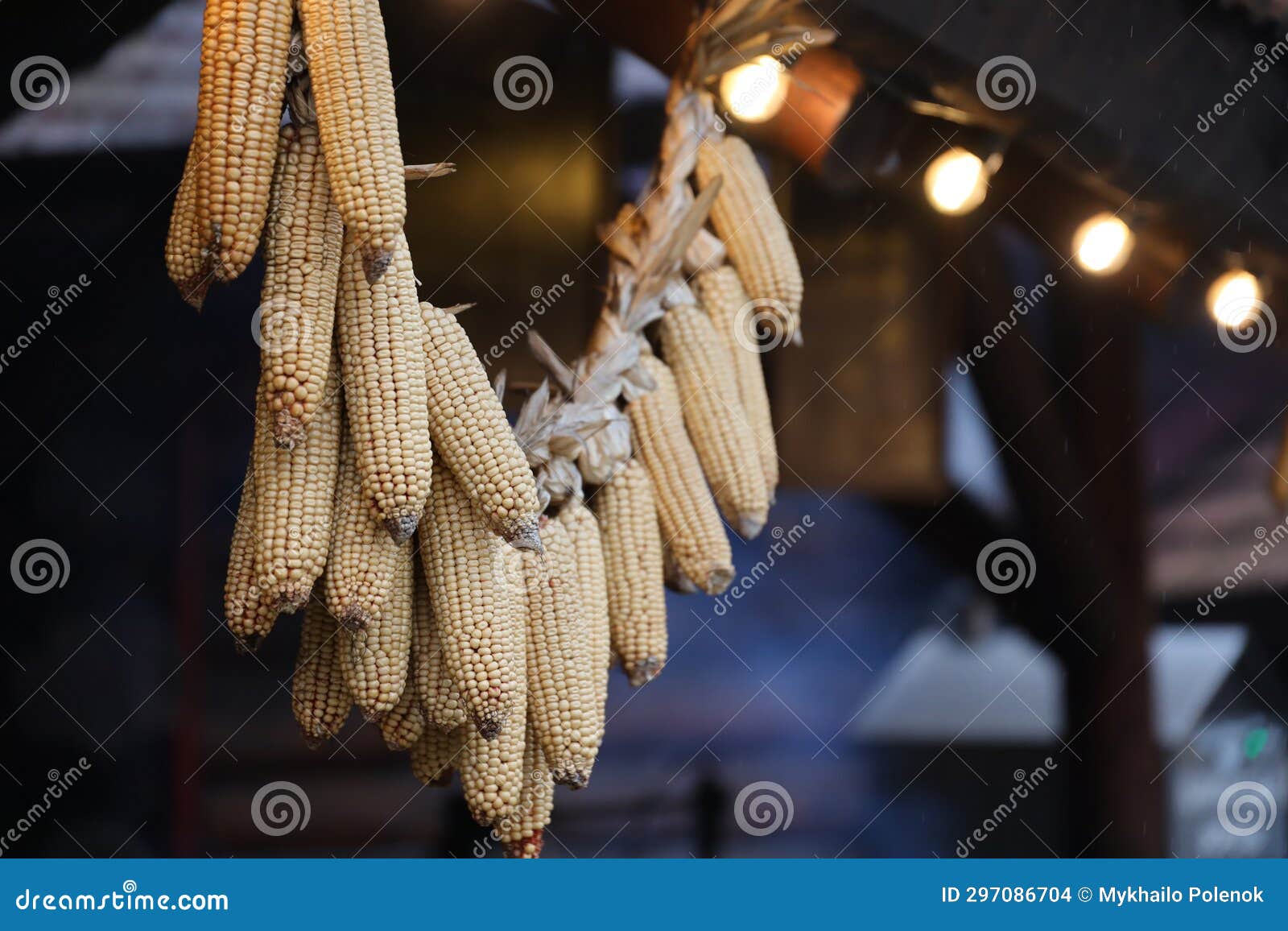 Dried Corn Cobs. Dried Corns Hanging on Rustic Wall Stock Photo - Image ...