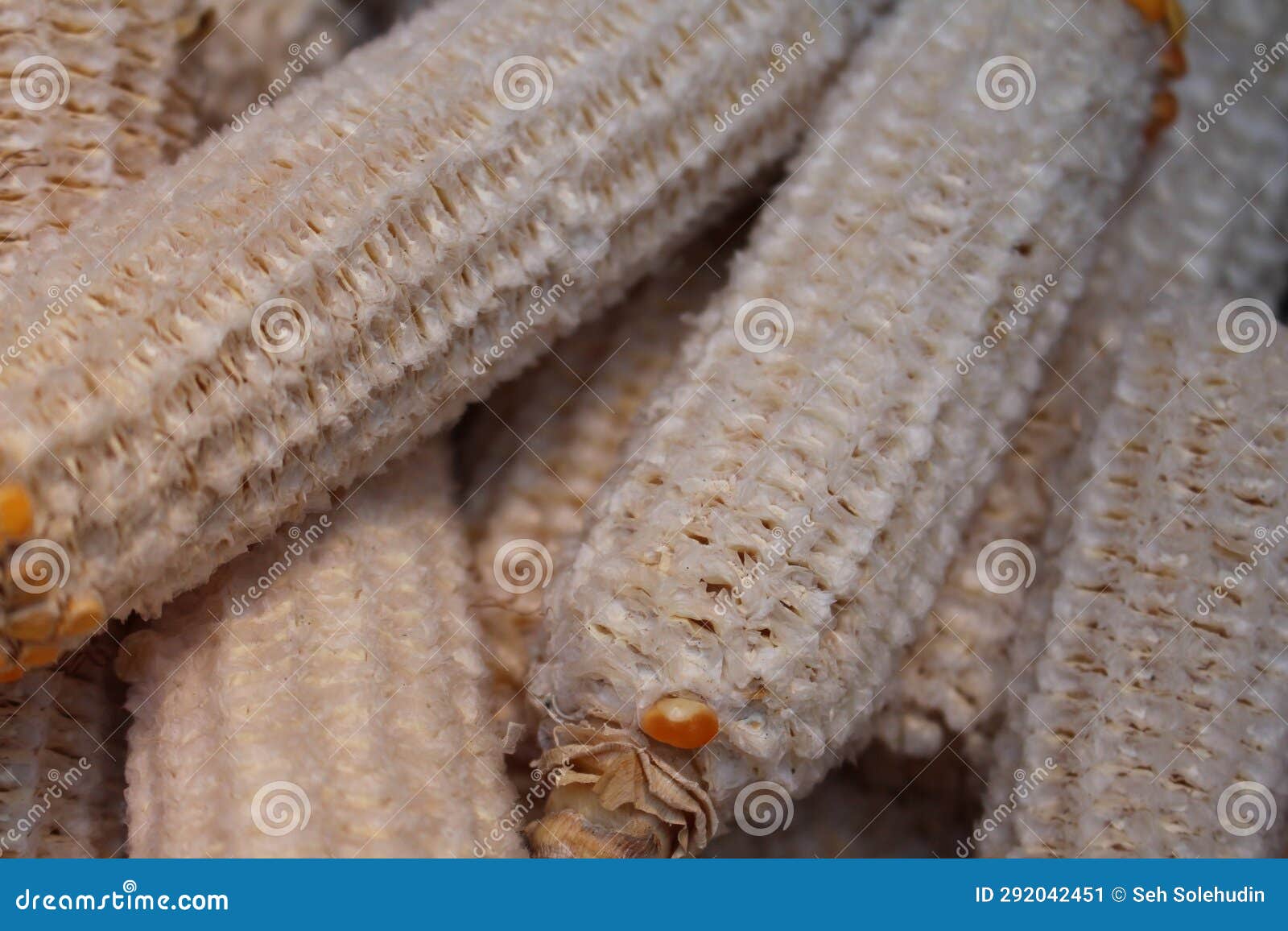 Dried Corn Cobs are Piled Up in Shelters Stock Image - Image of dessert ...