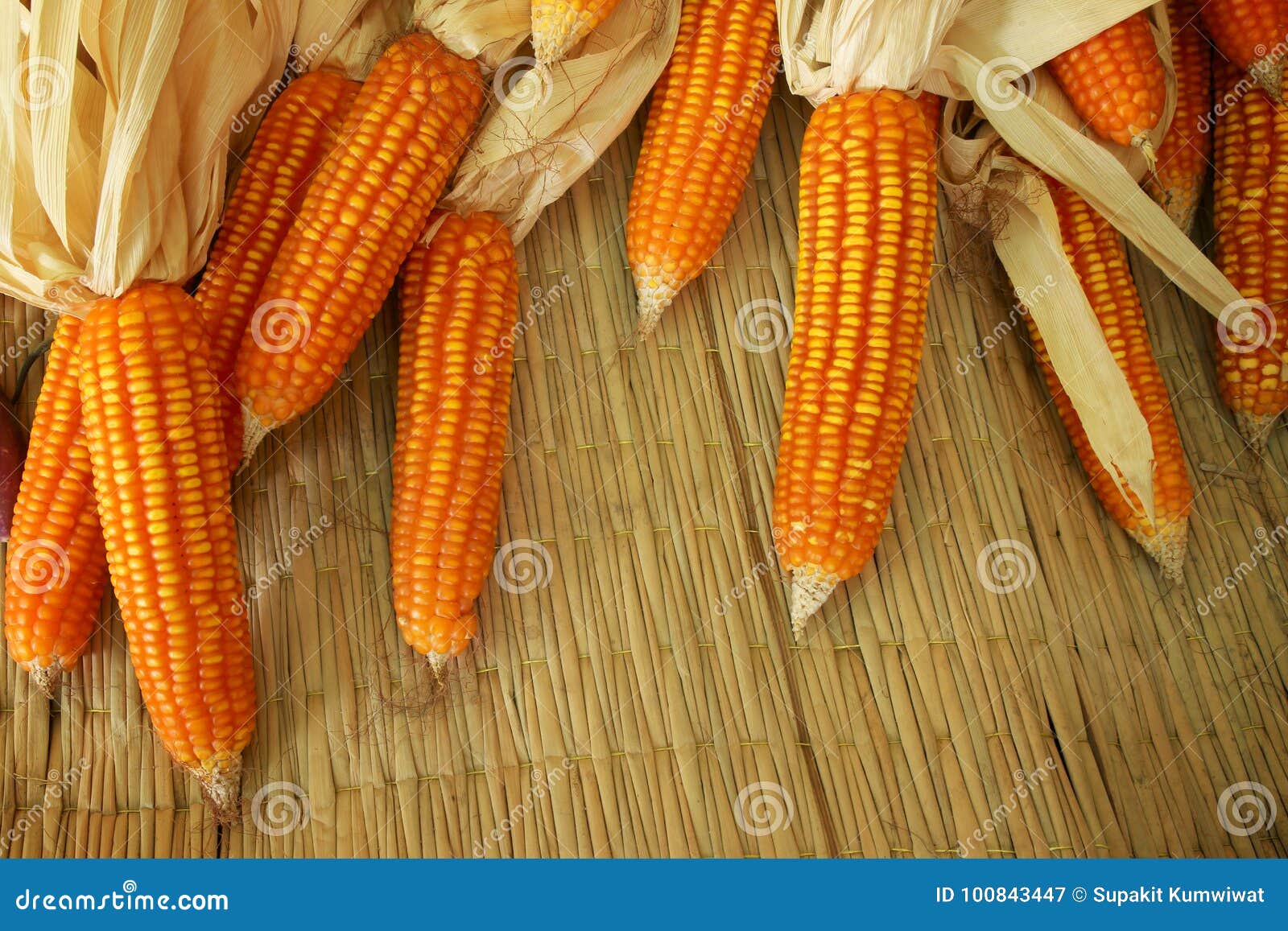 Dried Corn on Cobs on the Woven Straw Stock Image - Image of straw ...