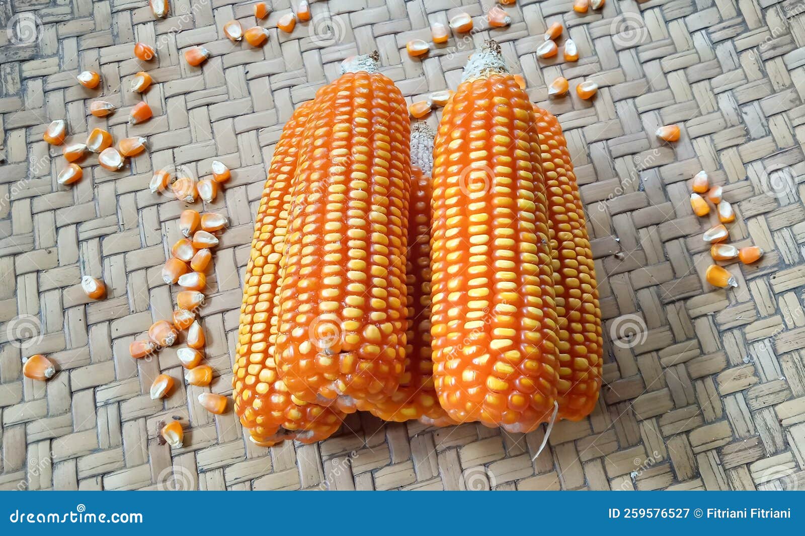 Dried Corn Isolated on a Tray or Bamboo Winnow Stock Image - Image of ...