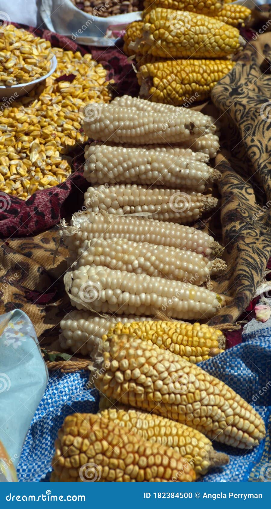 Dried Corn Kernels and Ears of Corn Stock Photo - Image of america ...