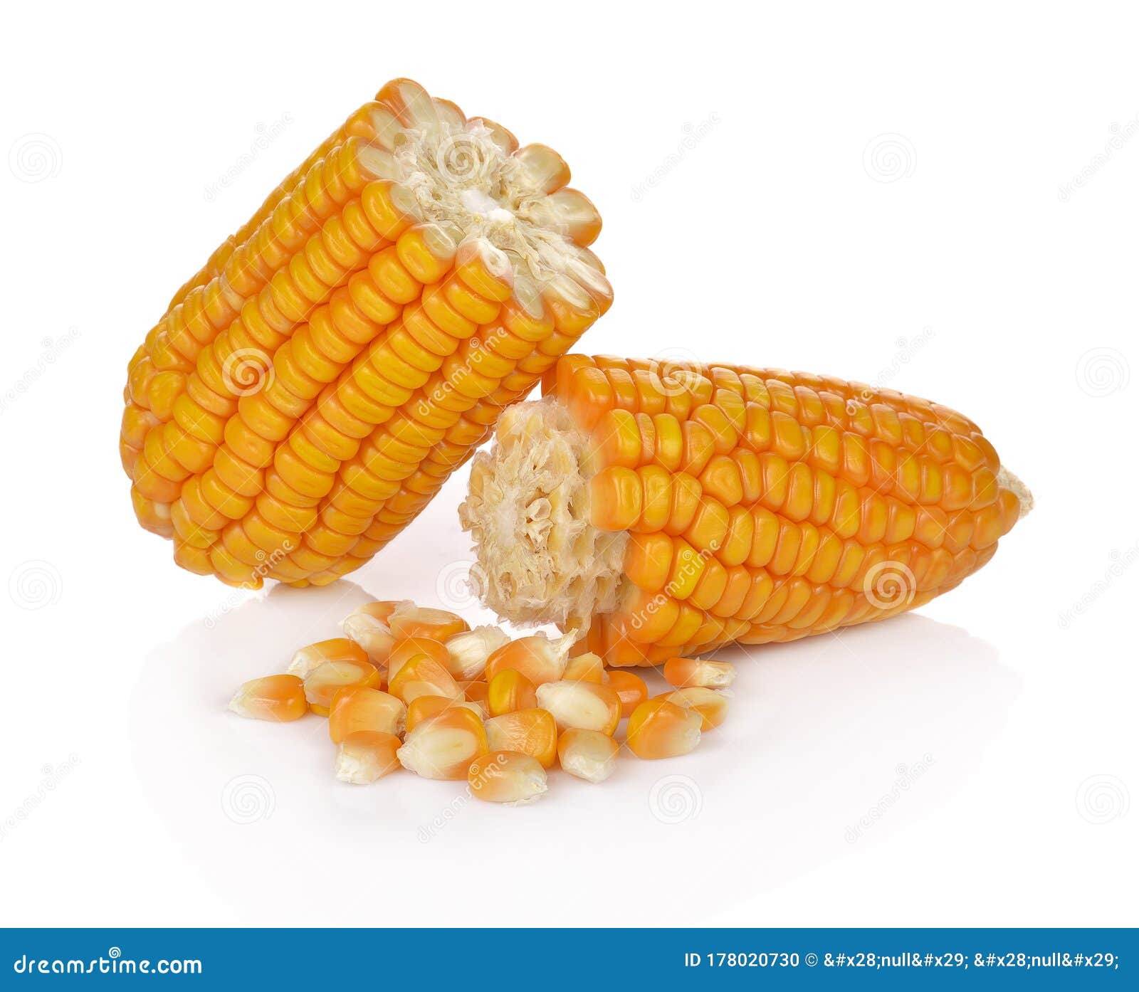 Dried Corn Kernels Isolated on White Background. Stock Photo - Image of ...