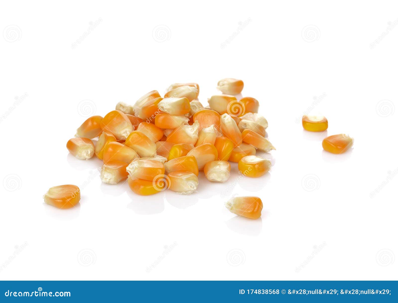 Dried Corn Kernels Isolated on White Background. Stock Photo - Image of ...