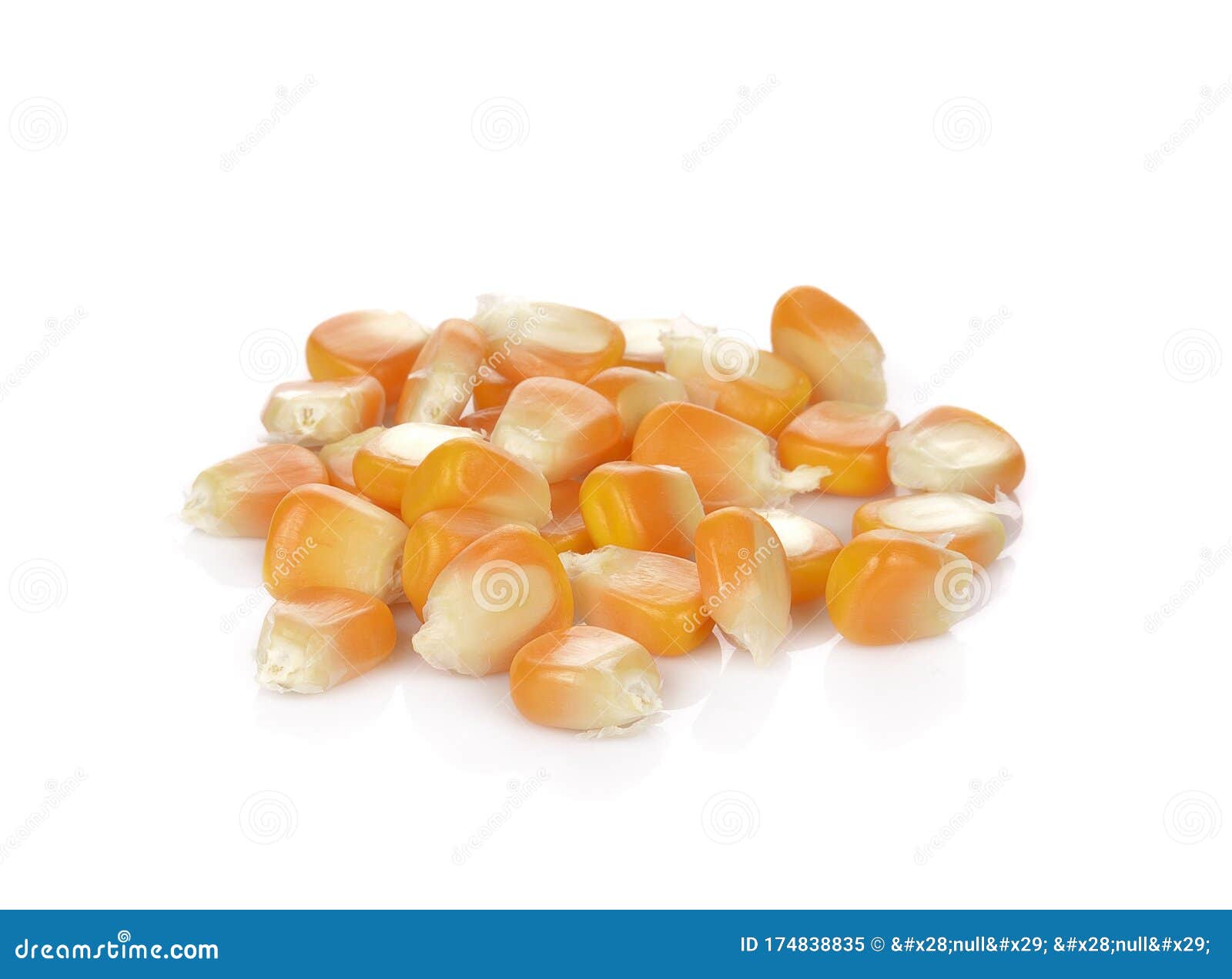 Dried Corn Kernels Isolated on White Background. Stock Image - Image of ...