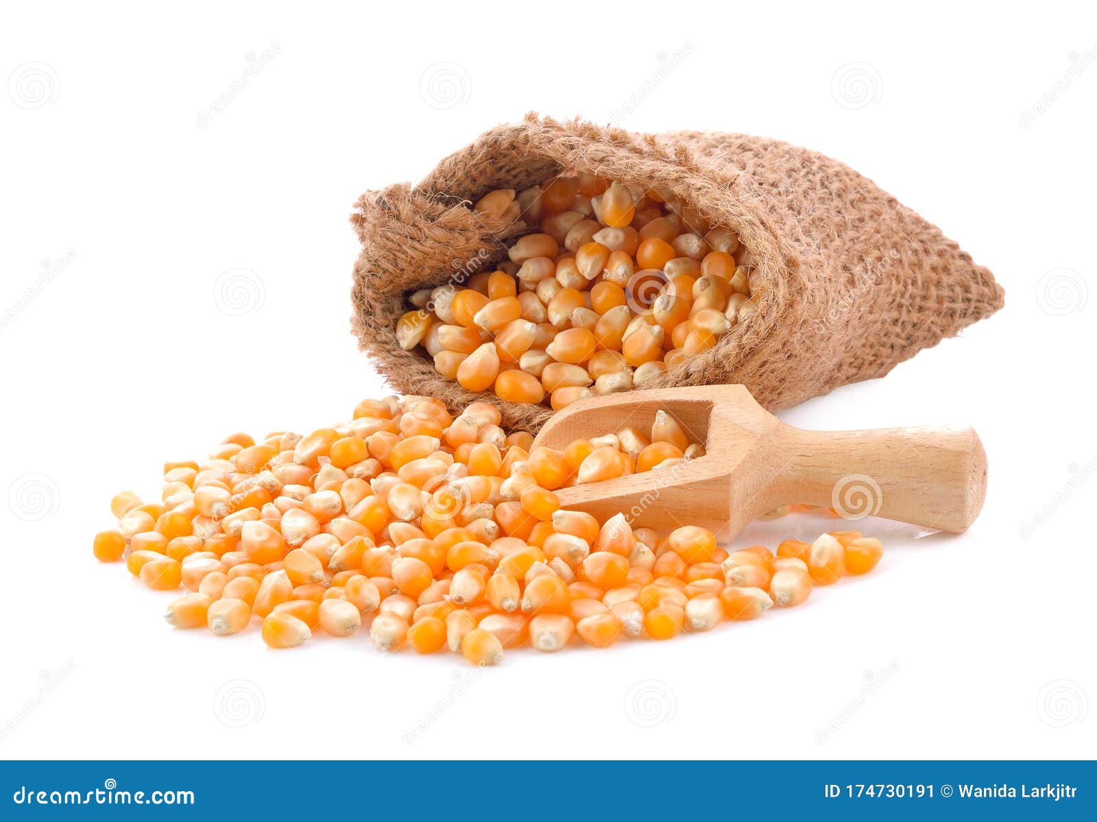 Dried Corn Kernels on White Background Stock Image - Image of corn ...