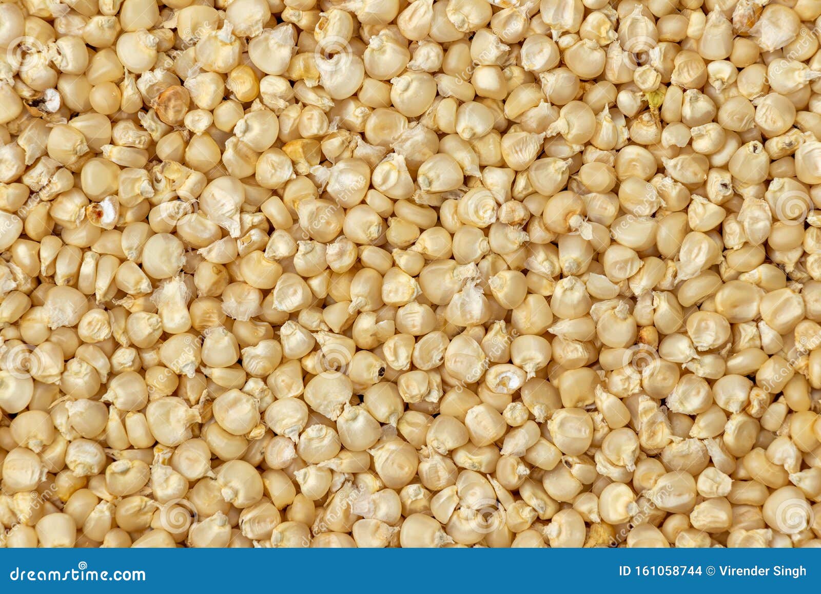 Dried Corn or Maiza Texture and Background Stock Photo - Image of grain ...