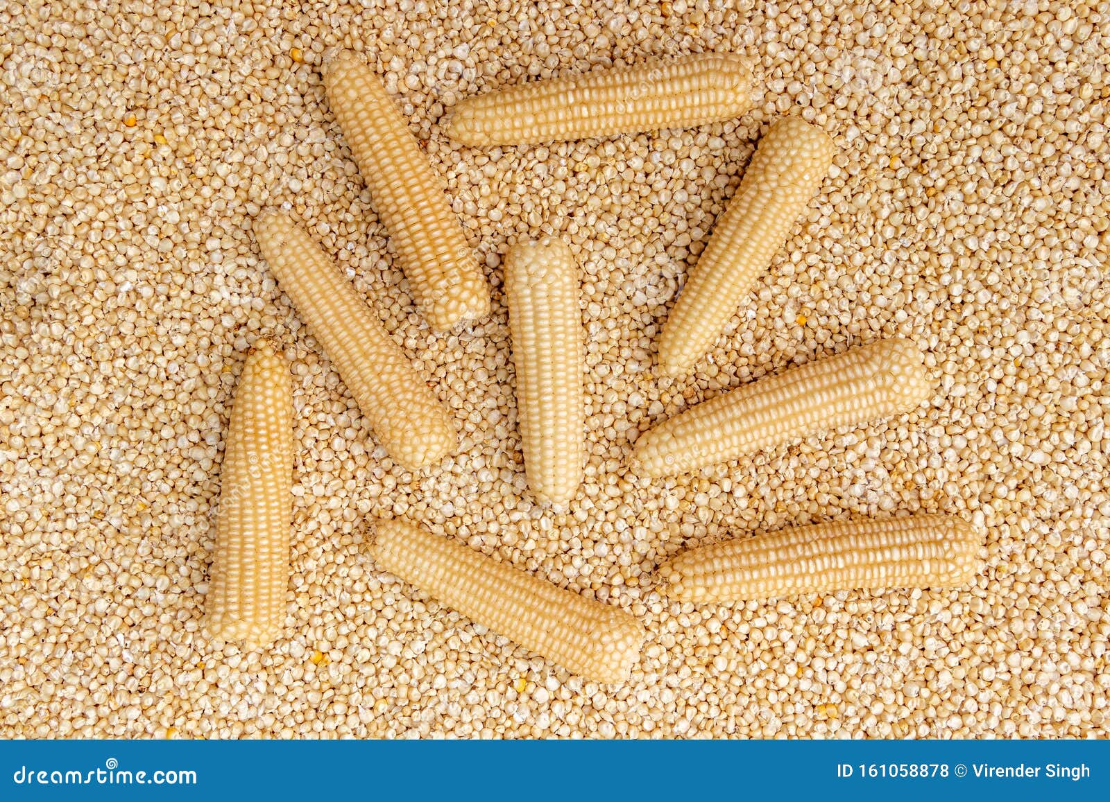 Dried Corn or Maiza Texture and Background Stock Photo - Image of food ...