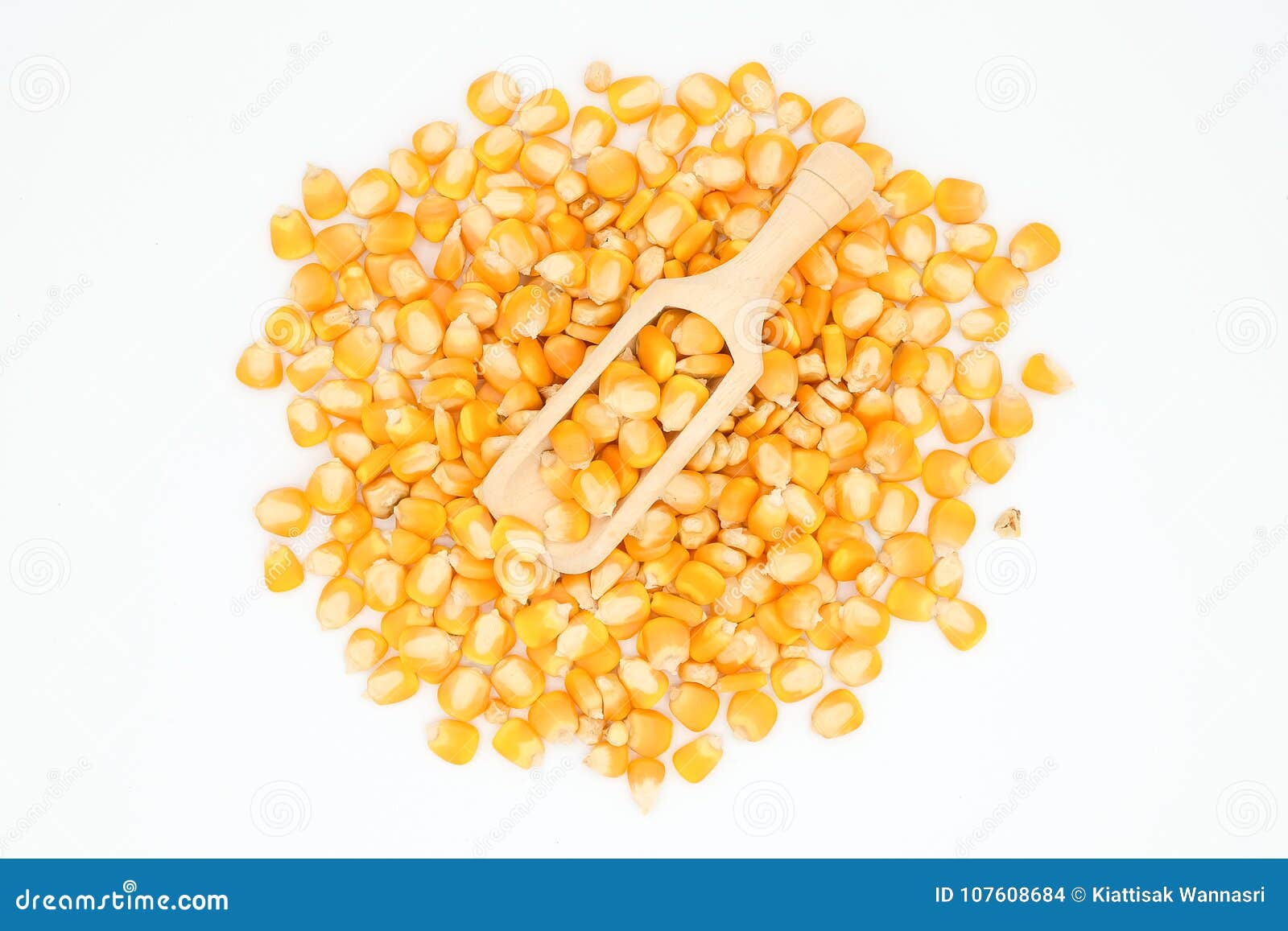 Dried Corn Maize Isolated on the White Background Stock Photo - Image ...