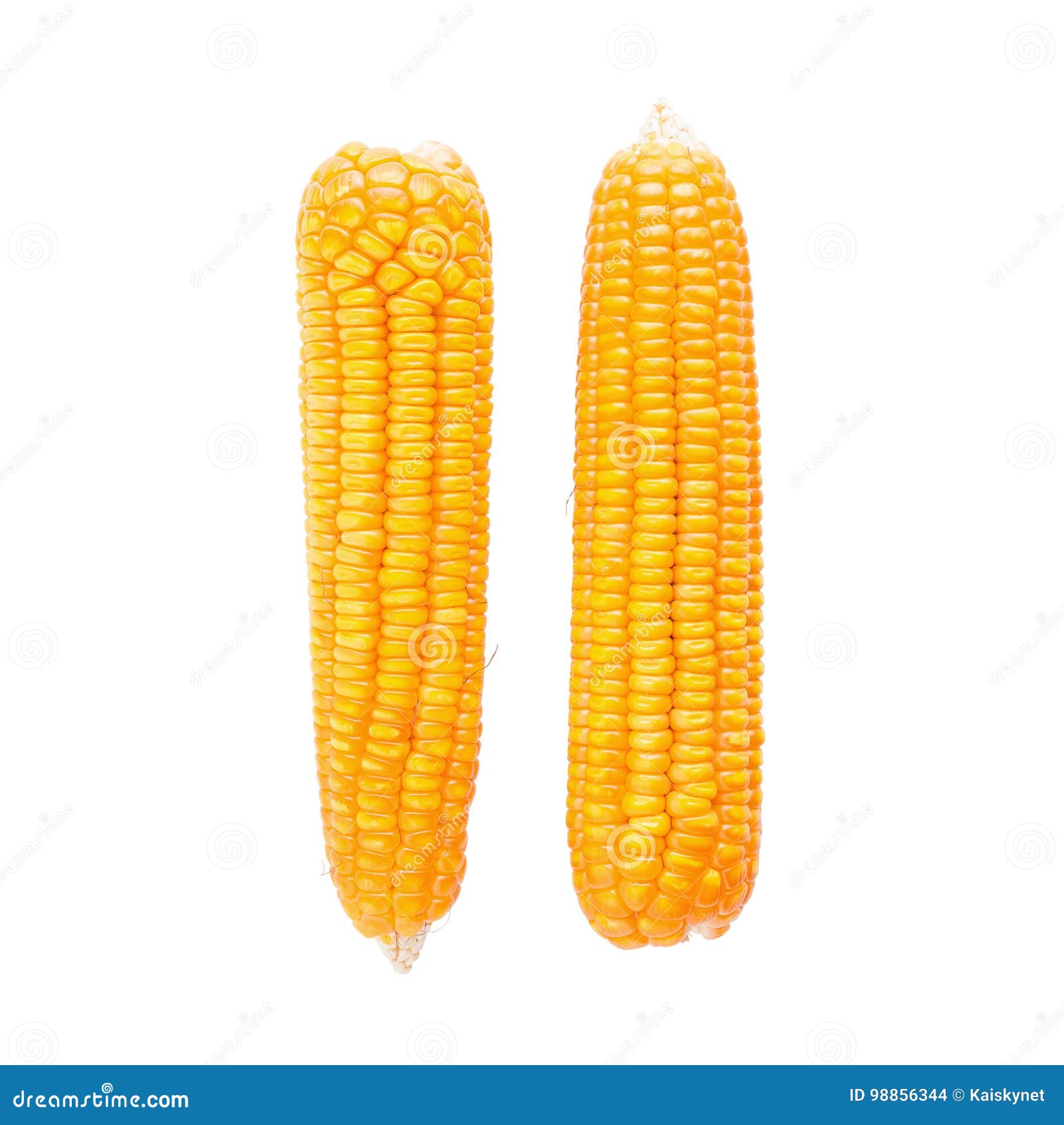 Dried Corn Maize Isolated on the White Background Stock Photo - Image ...