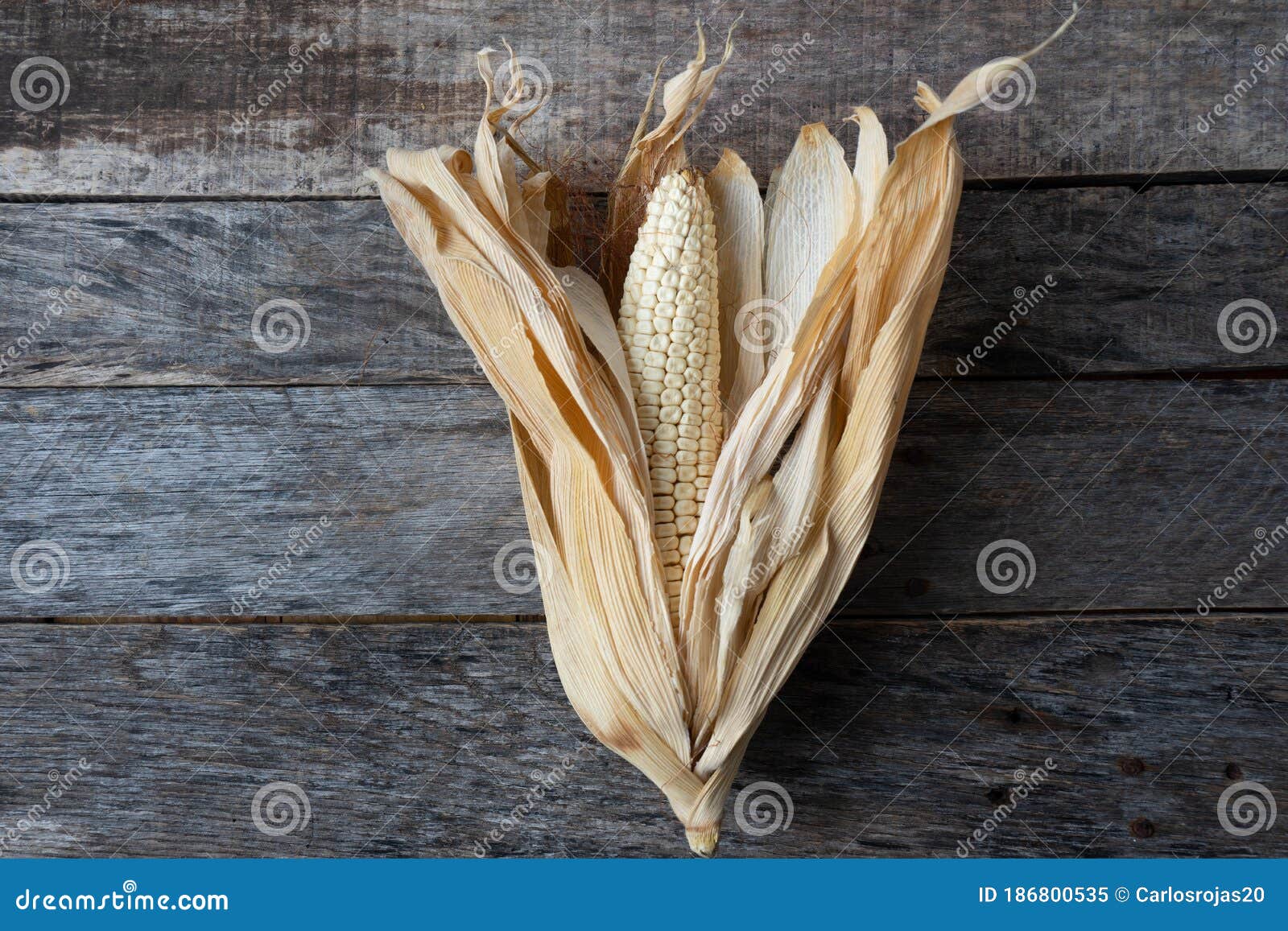 Dried Corn Maize with Leaves Stock Image - Image of healthy, cultivated ...