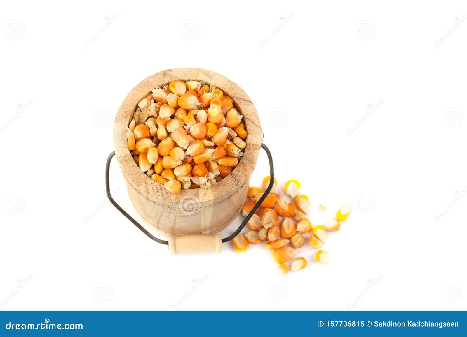 Dried corn seed in Bucket stock image. Image of food - 157706815