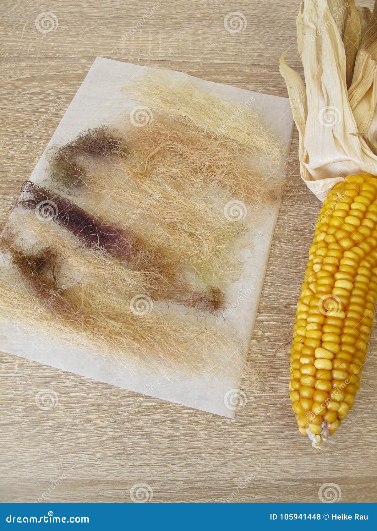 Dried Corn Silk, Maydis Stigma Stock Photo - Image of maize, healing ...
