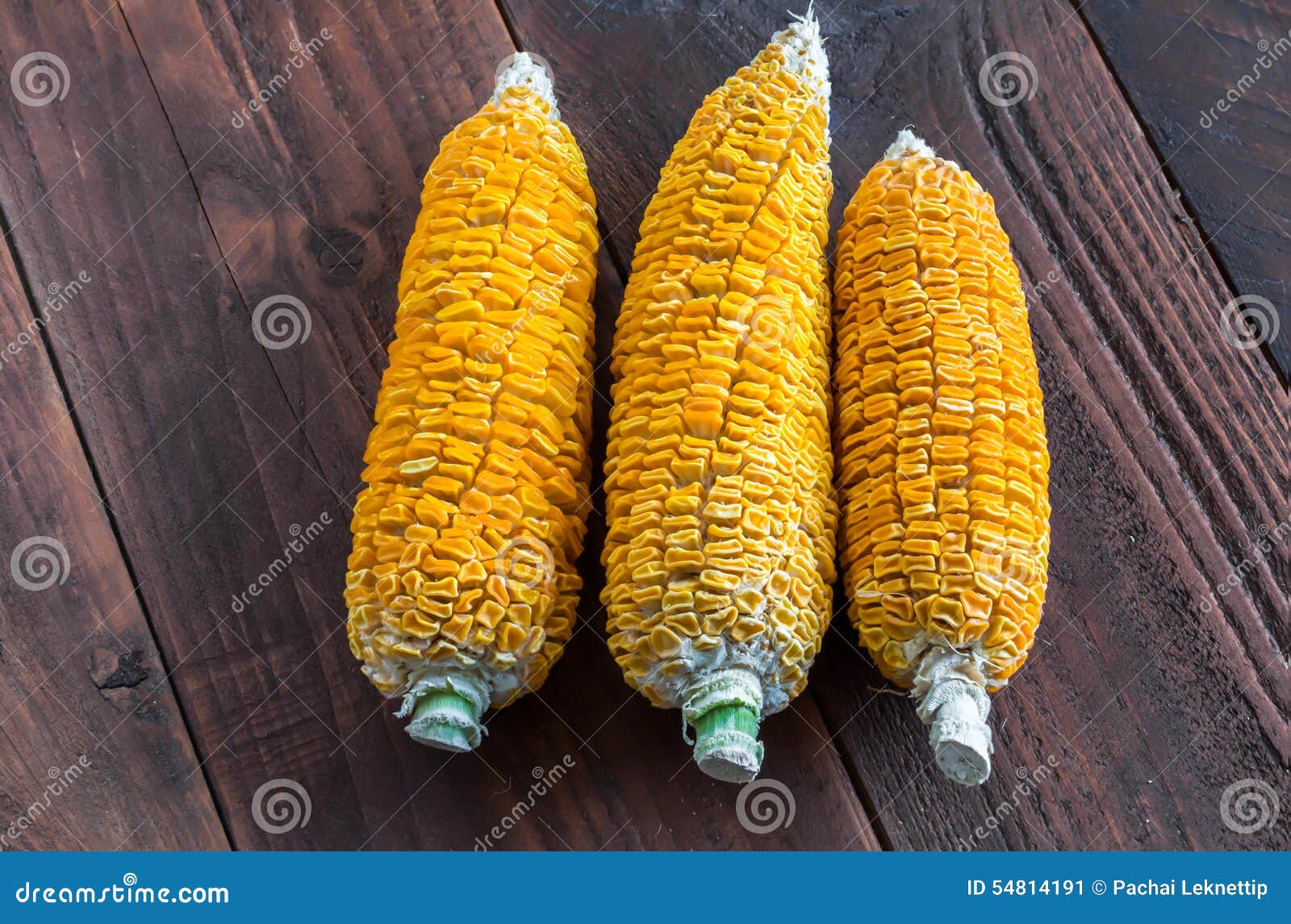 Dried Corn Stalk on Wood Table Stock Image - Image of produce, healthy ...